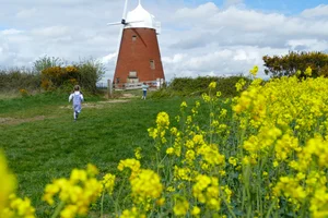 A walk for the whole family to Halenaker Windmill — The Ambling Path ...