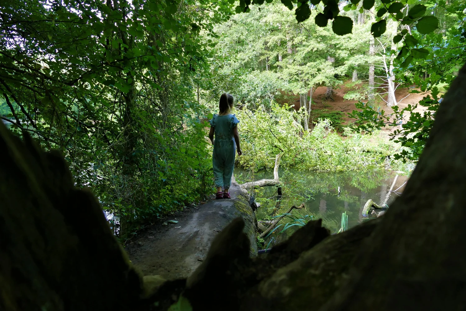 A circular walk for the whole family around Waggoners Wells near ...