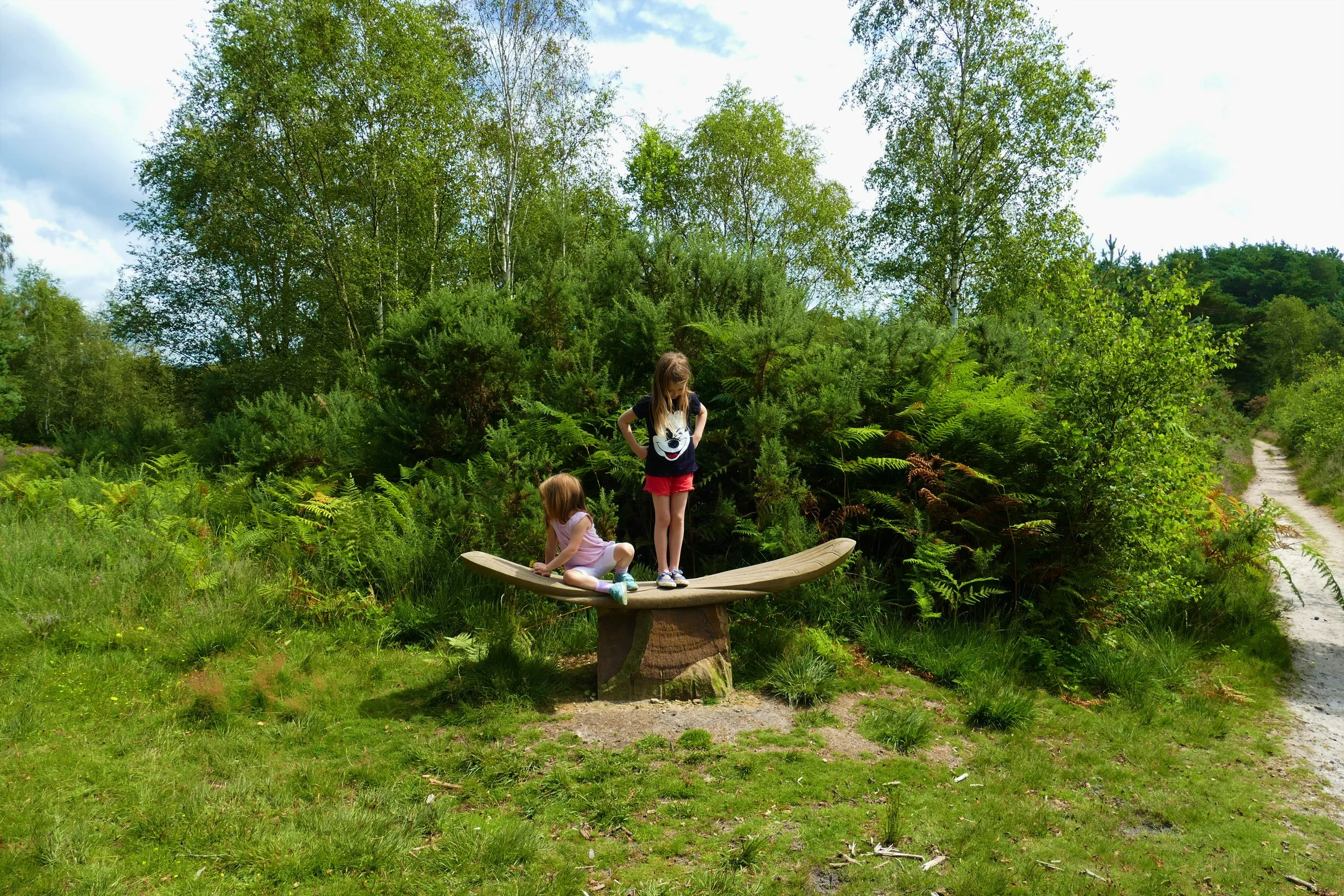 A walk for the whole family at Iping and Stedham Commons — The Ambling ...