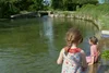 A walk for the whole family to Compton Lock, near Winchester — The ...