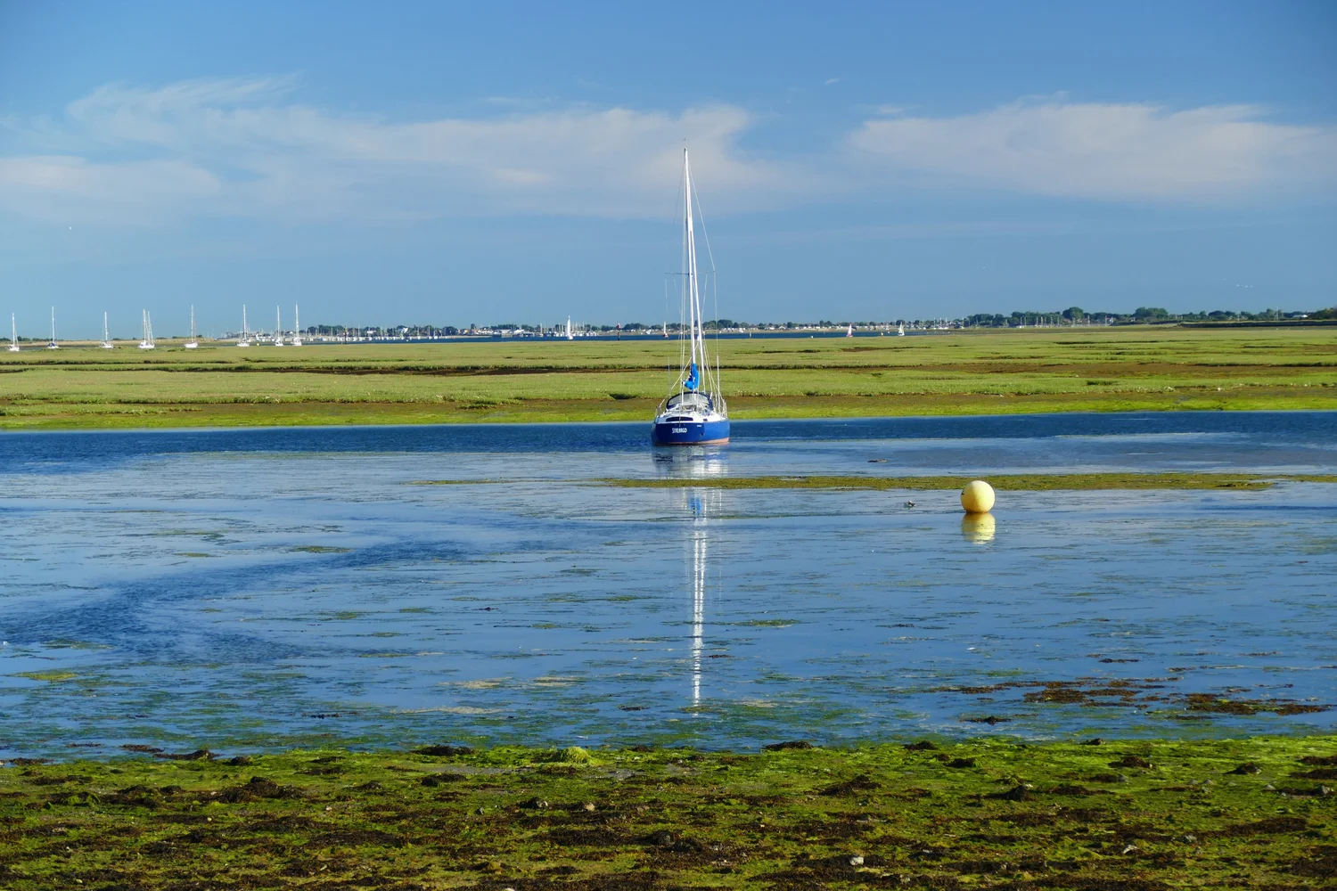 A walk for the whole family from Emsworth Harbour to Langstone Harbour ...