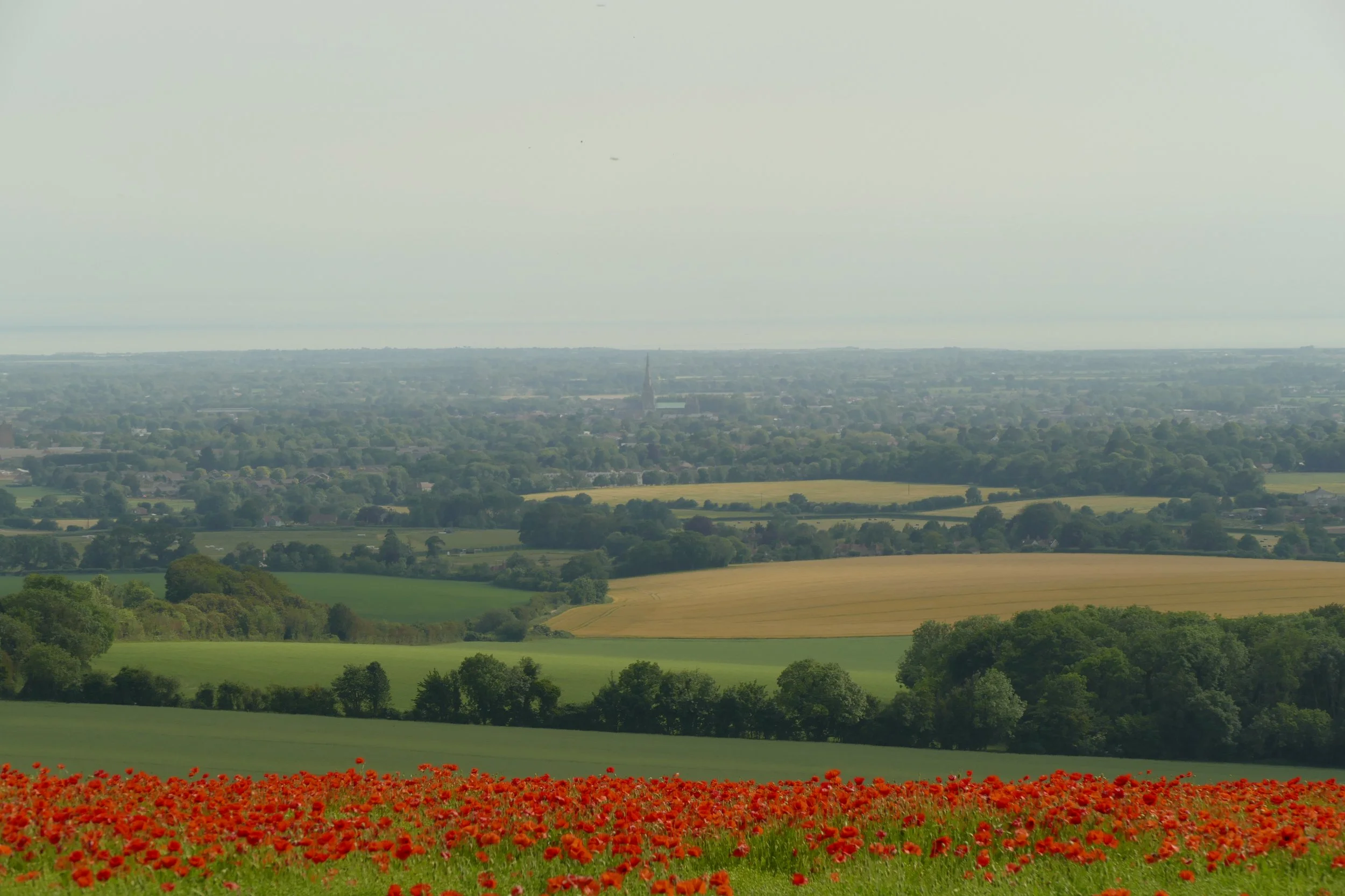 A walk for the whole family to The Trundle overlooking Goodwood — The ...