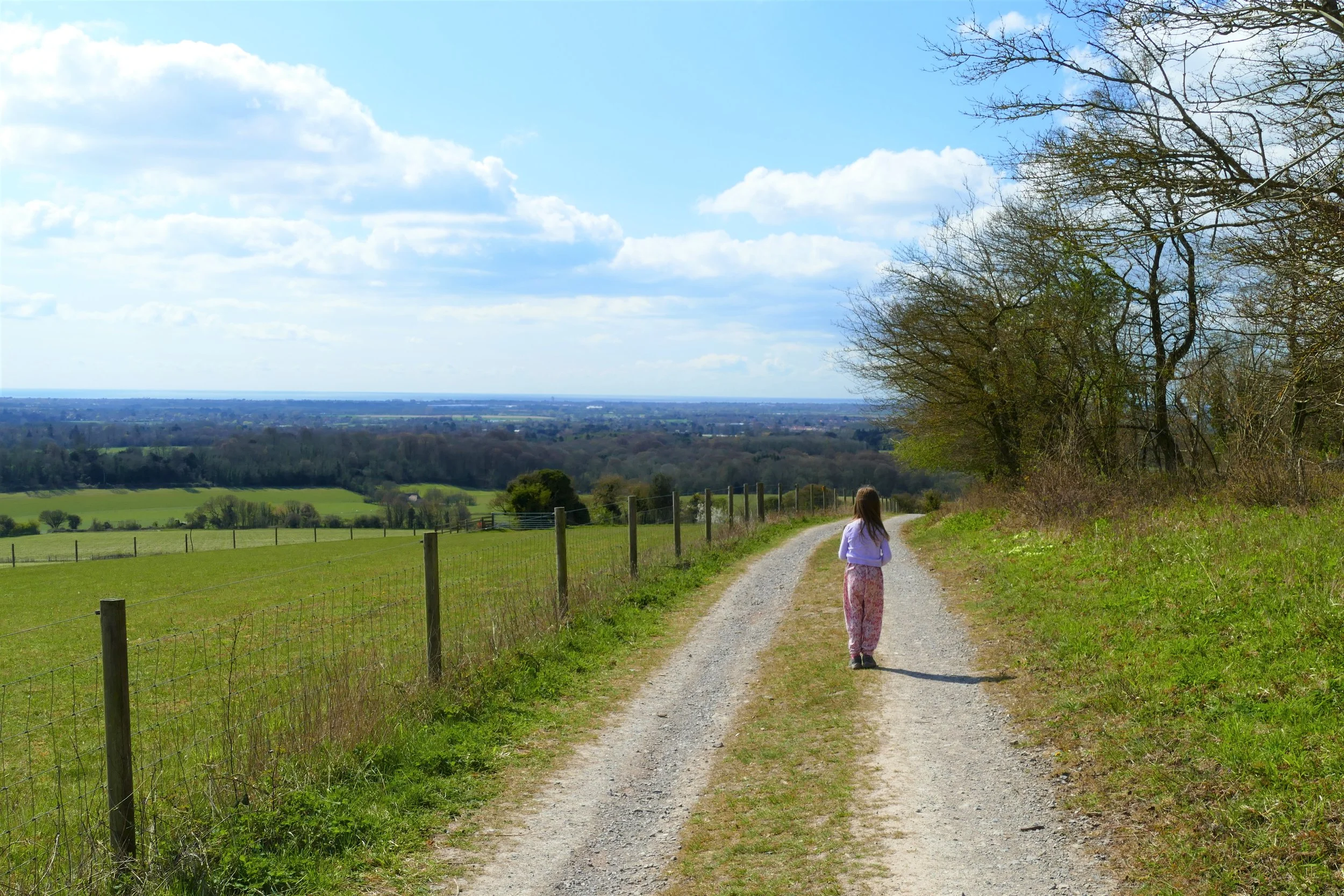 A circular walk for the whole family around Nore Wood on the Slindon ...