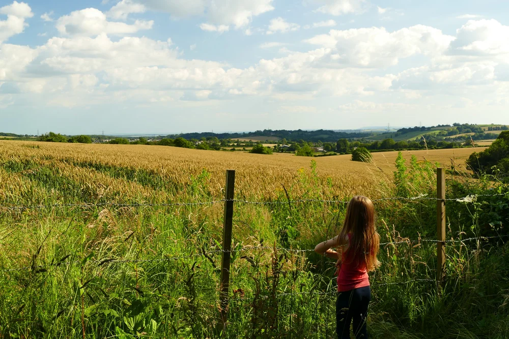 A circular walk for the whole family around Clanfield, Waterlooville ...