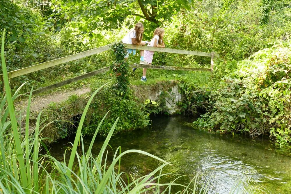 A collection of short and easy walks around The River Itchen in ...