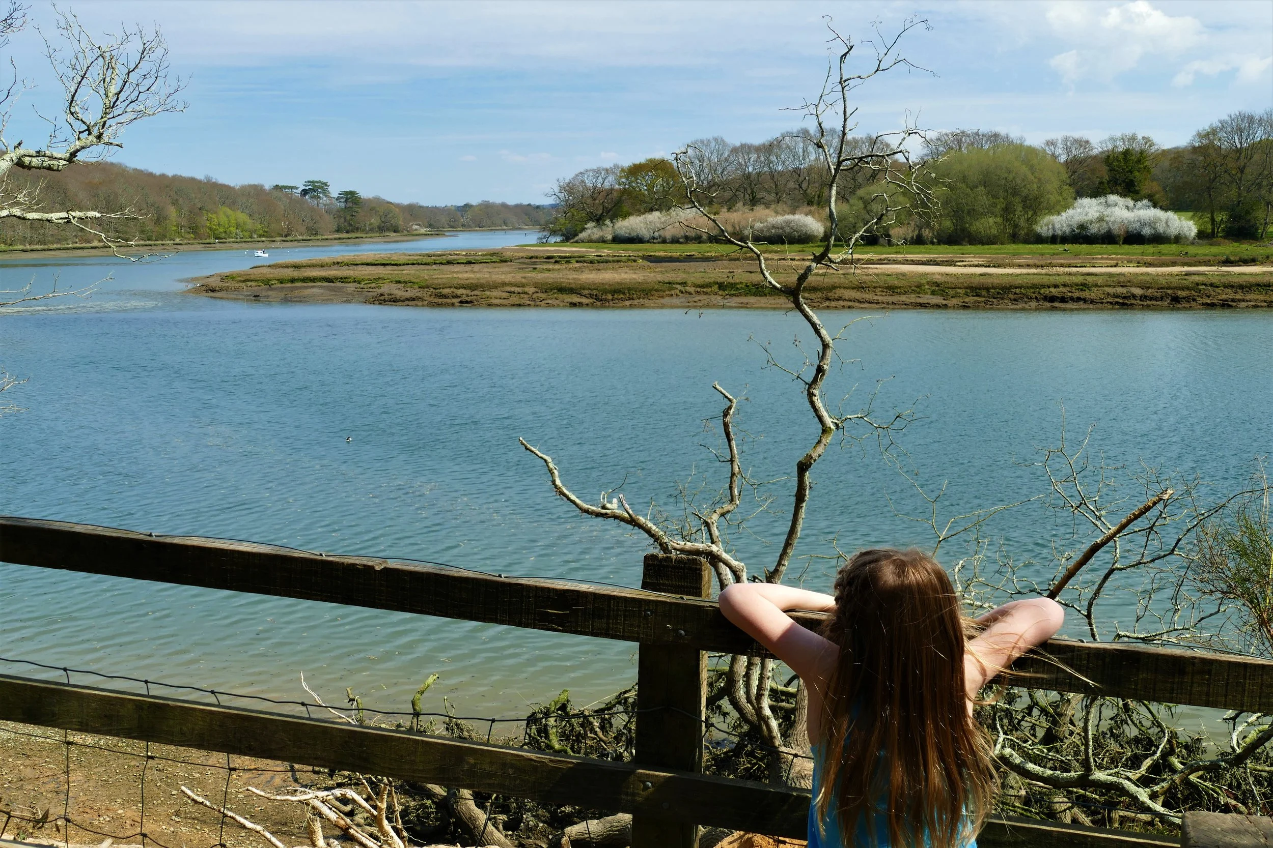 A walk for the whole family around Itchen Valley Country Park — The ...
