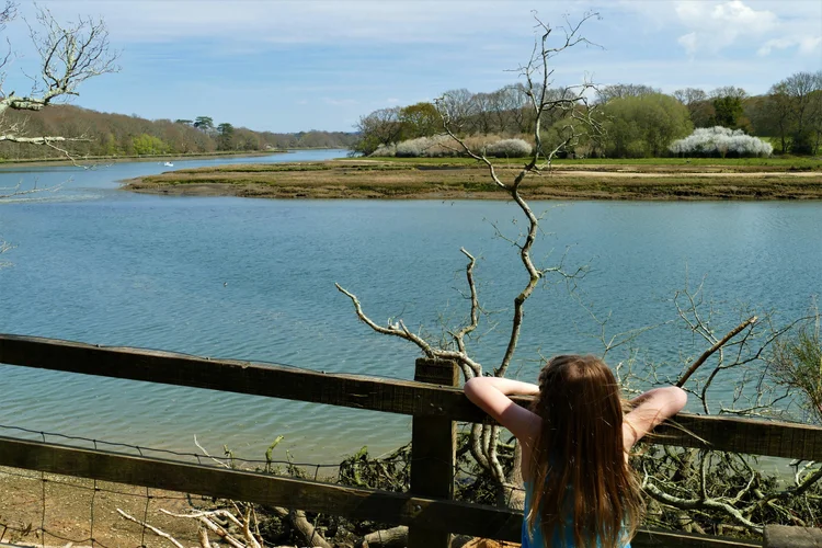 A walk for the whole family around Itchen Valley Country Park — The ...