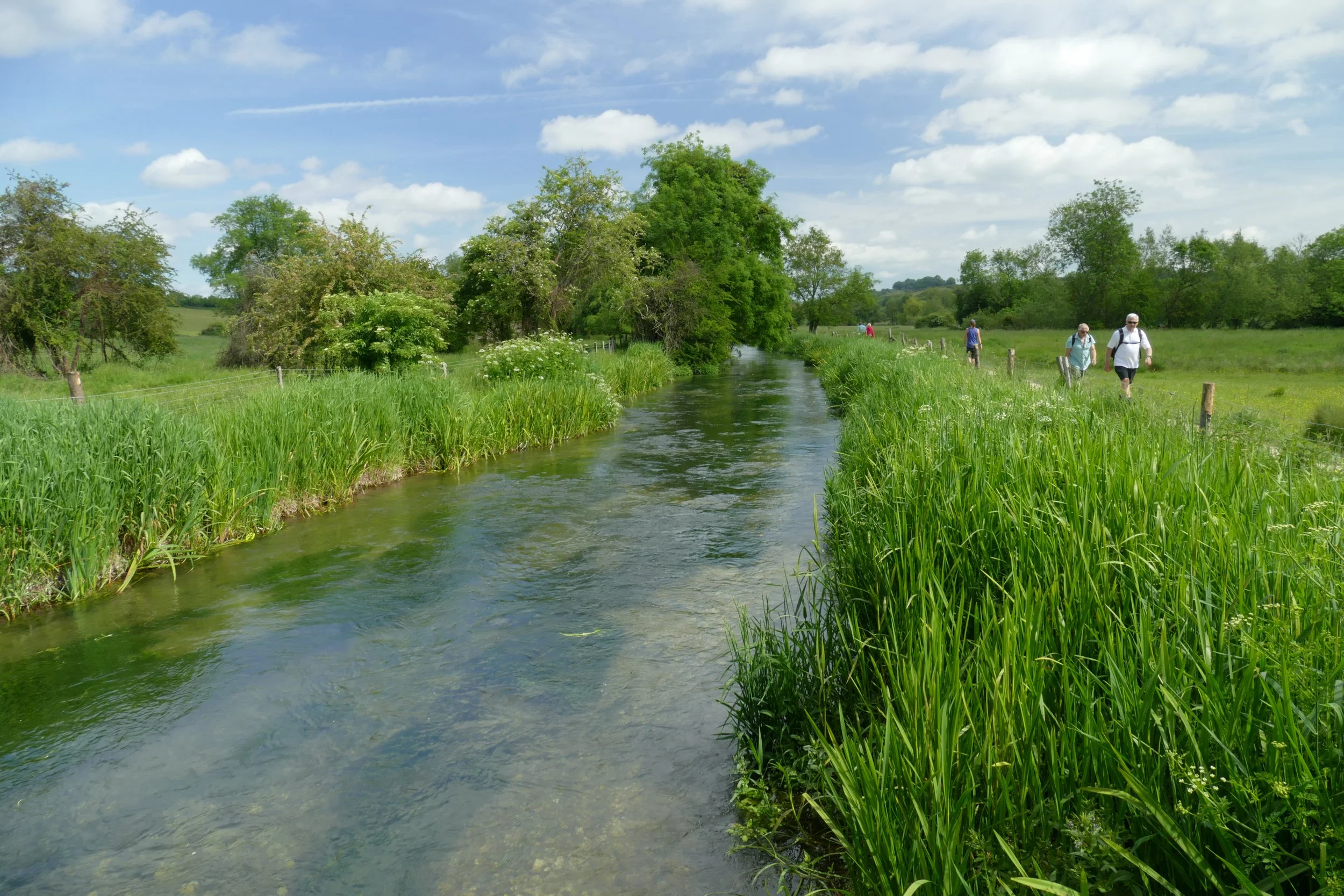 A walk for the whole family along The Otter Trail near Otterbourne ...