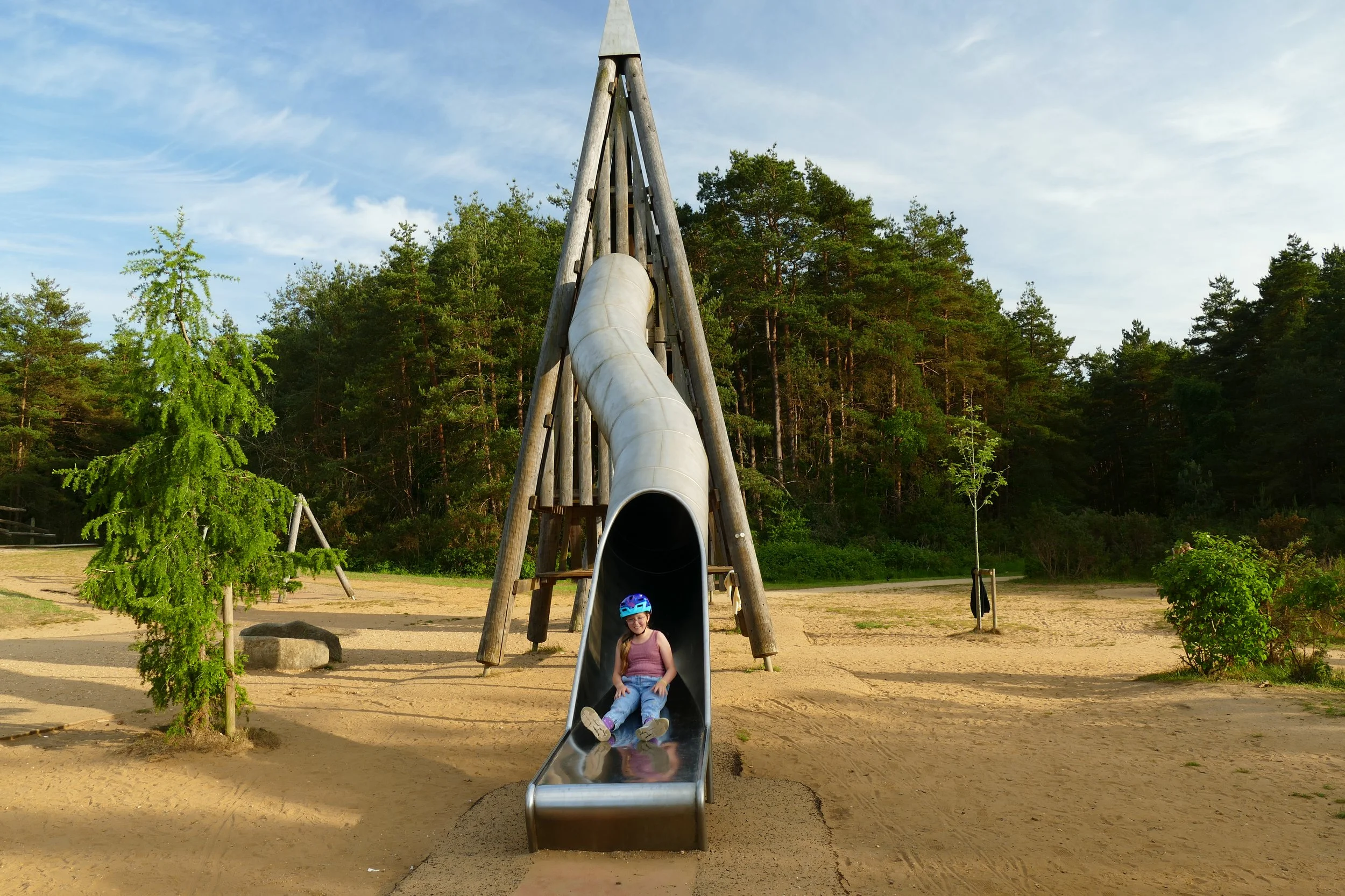 A walk for the whole family at Hogmoor Inclosure, Bordon — The Ambling ...