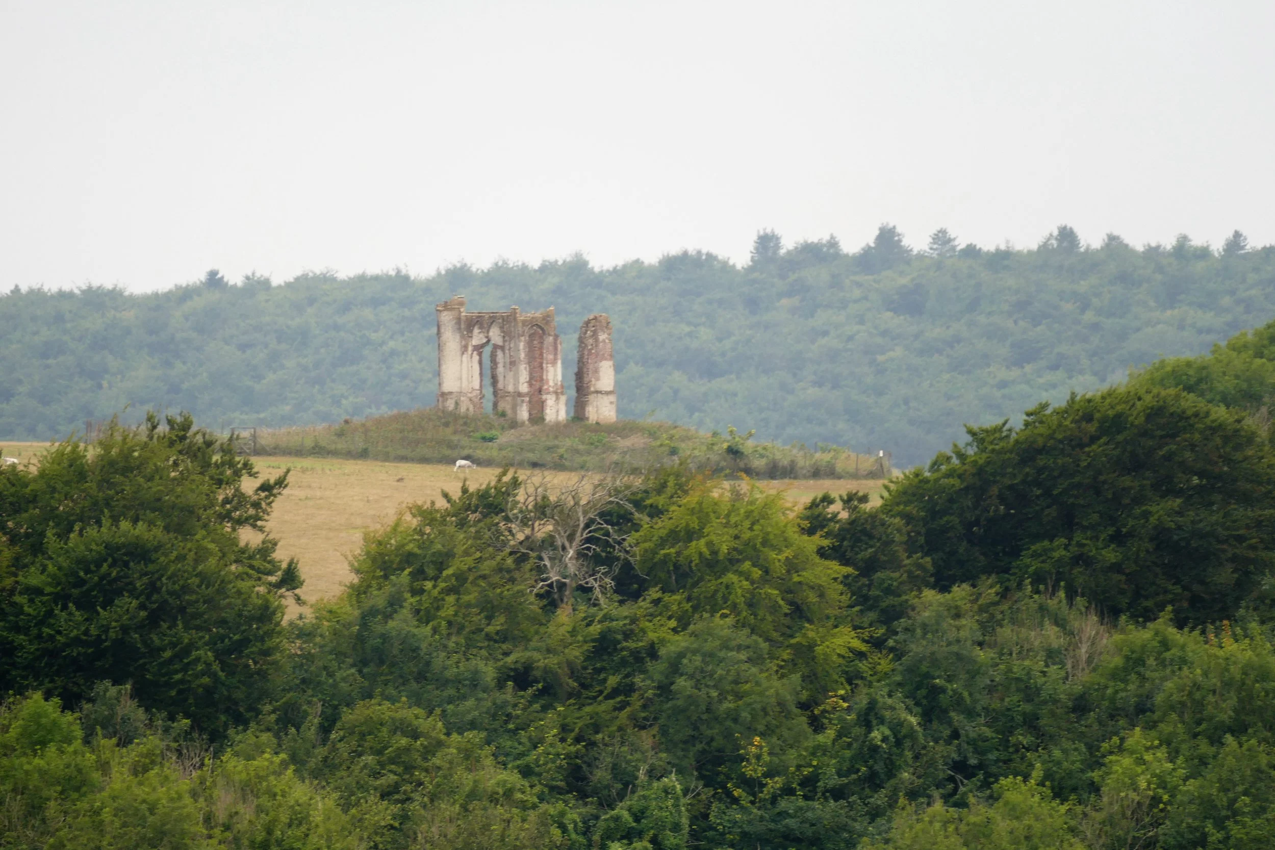 A walk for the whole family on Harting Down — The Ambling Path - Family ...