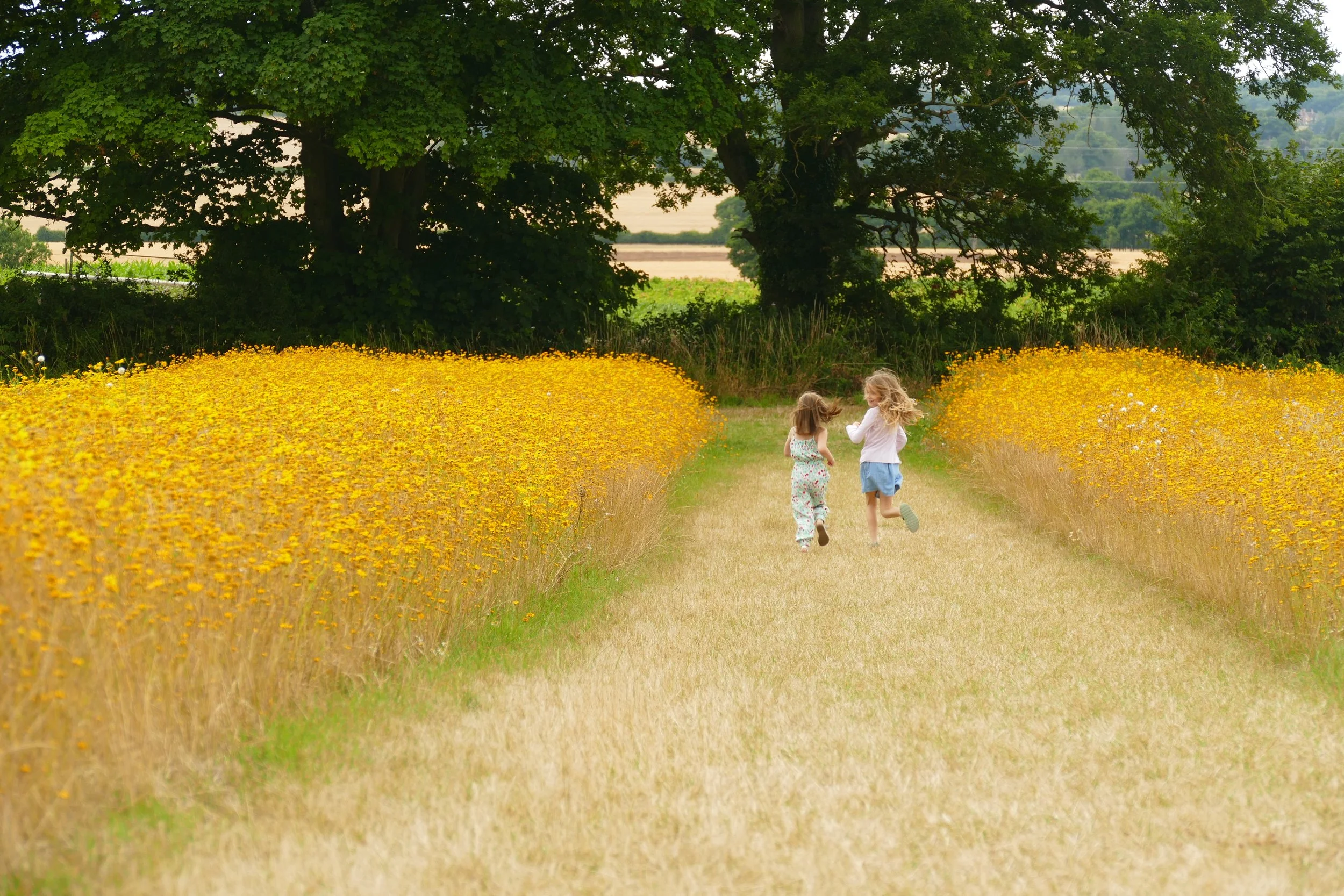 A walk for the whole family around the Chidham Peninsula — The Ambling ...