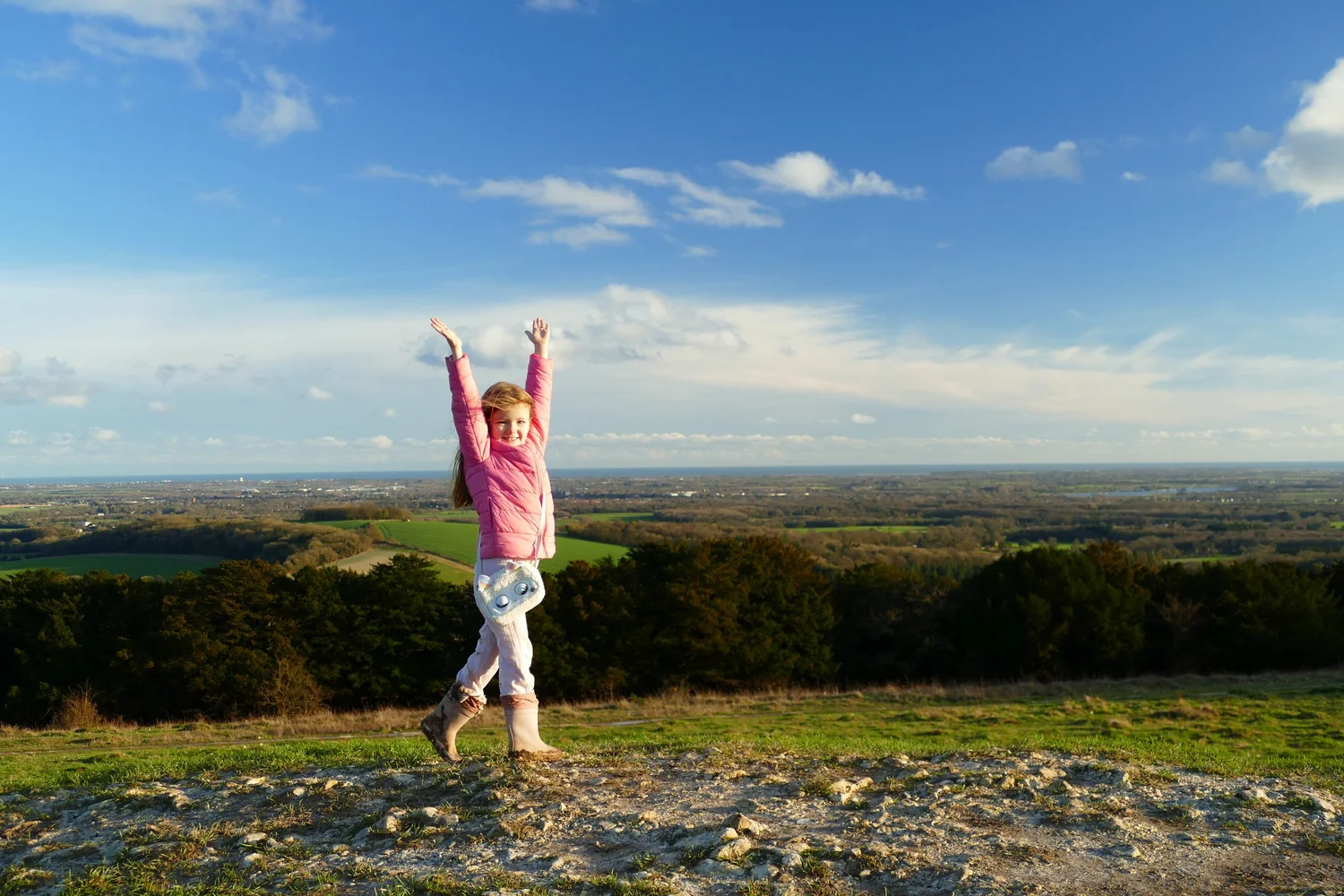 A circular walk for the whole family to spot bluebells in Stoke Wood ...