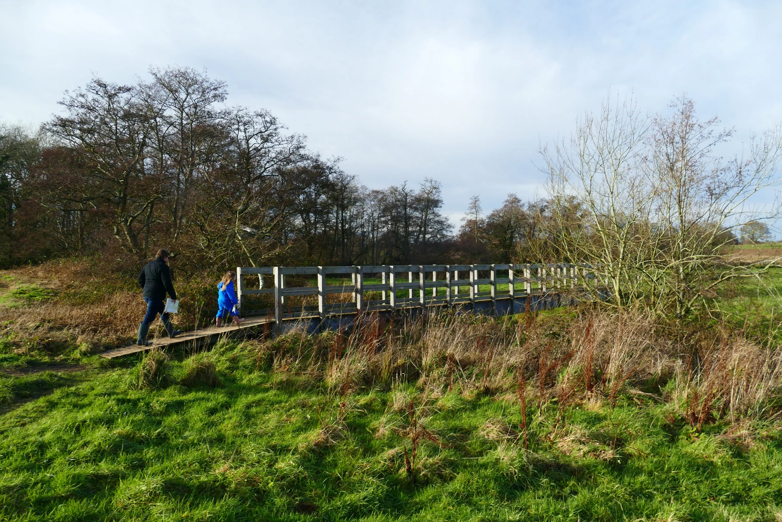 A walk for the whole family from Petersfield to Sky Park Farm — The ...