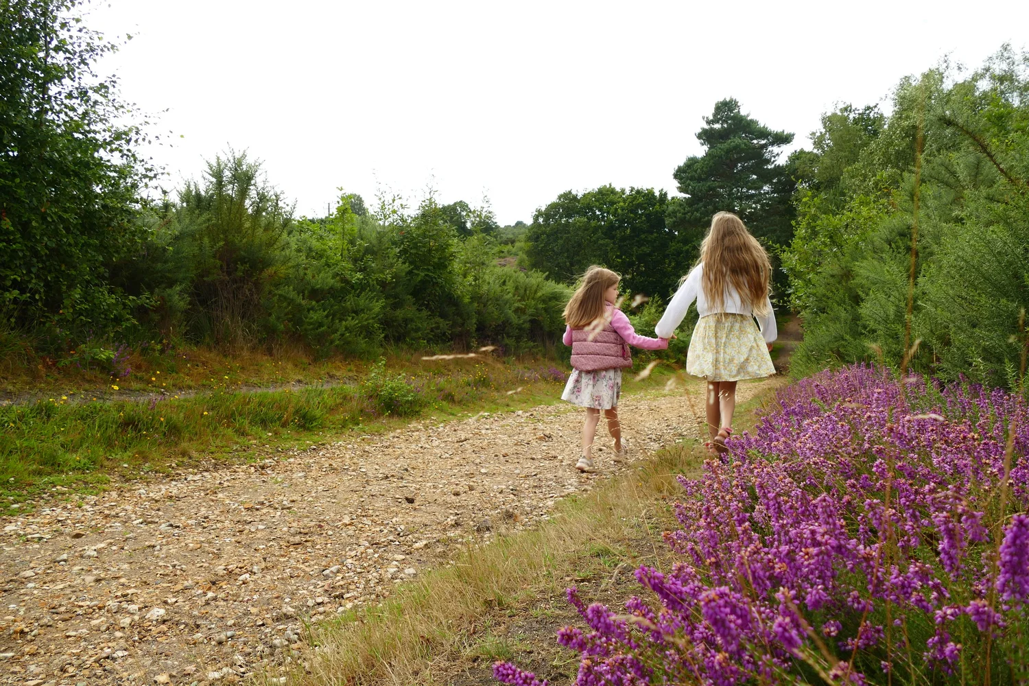 A Hampshire walk for the whole family around Yateley Common — The ...