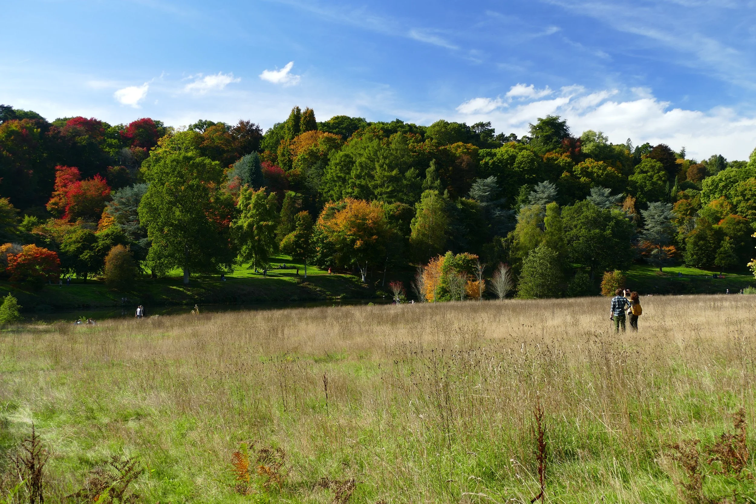 A walk for the whole family at Winkworth Arboretum — The Ambling Path ...