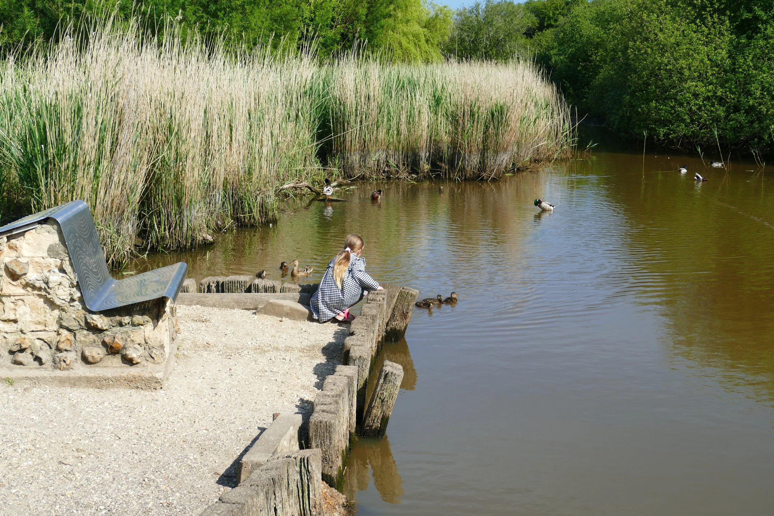 A circular walk for the whole family around Alver Country Park — The ...