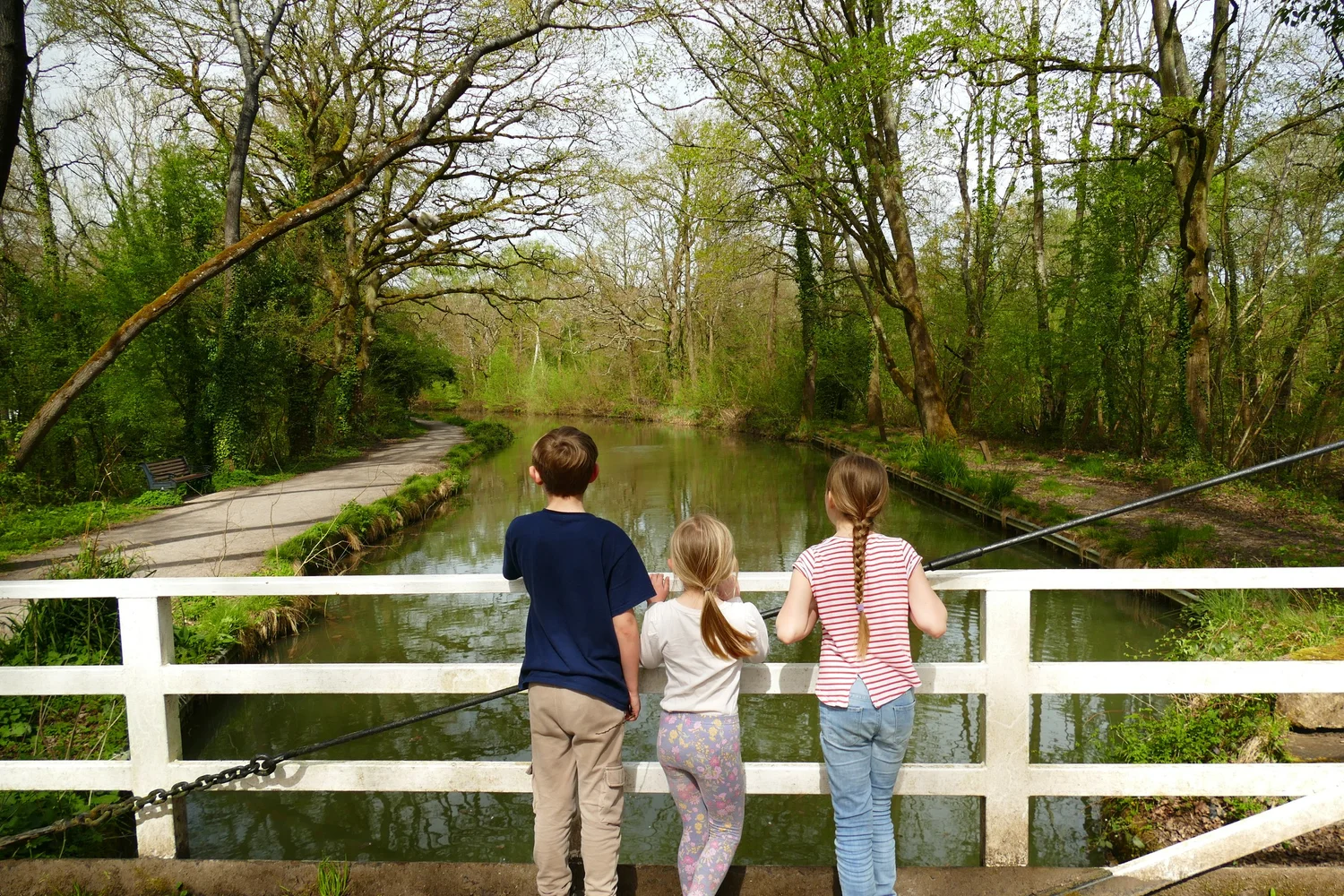 A circular walk for the whole family from The Basingstoke Canal Centre ...