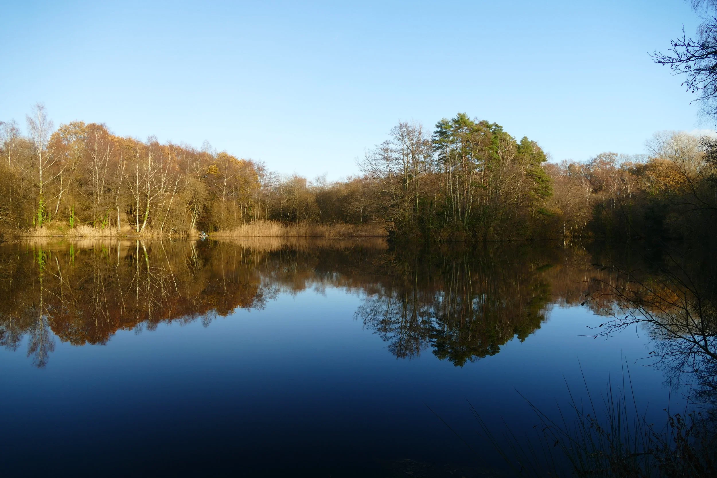 A walk for the whole family around Swanick Lakes Nature Reserve — The ...