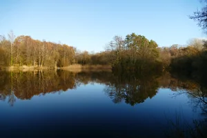 A walk for the whole family around Swanick Lakes Nature Reserve — The ...