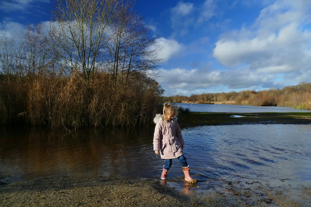 A circular walk for the whole family around Fleet Pond — The Ambling ...
