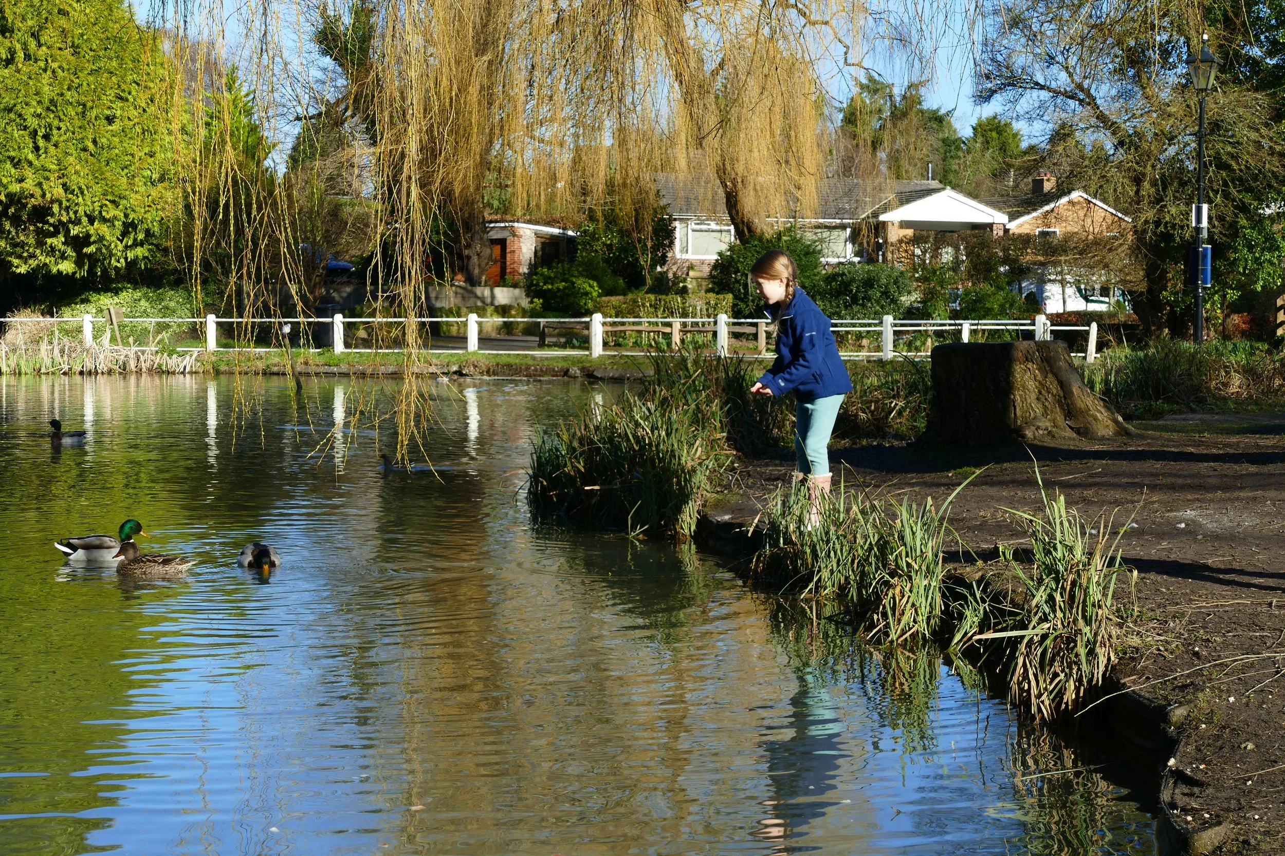 A walk for the whole family around the South Downs village of Buriton ...