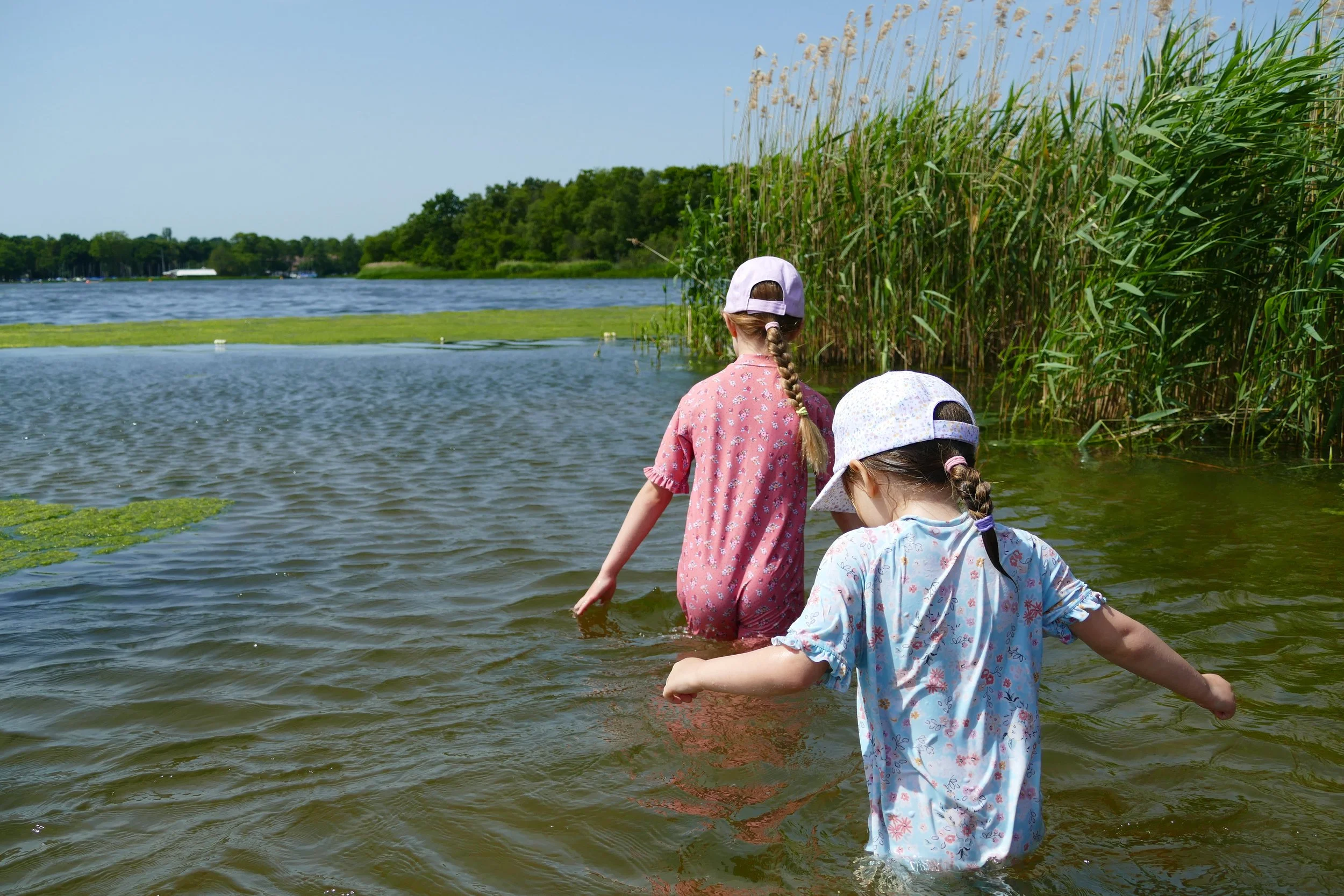 A walk for the whole family around Frensham Great Pond — The Ambling ...