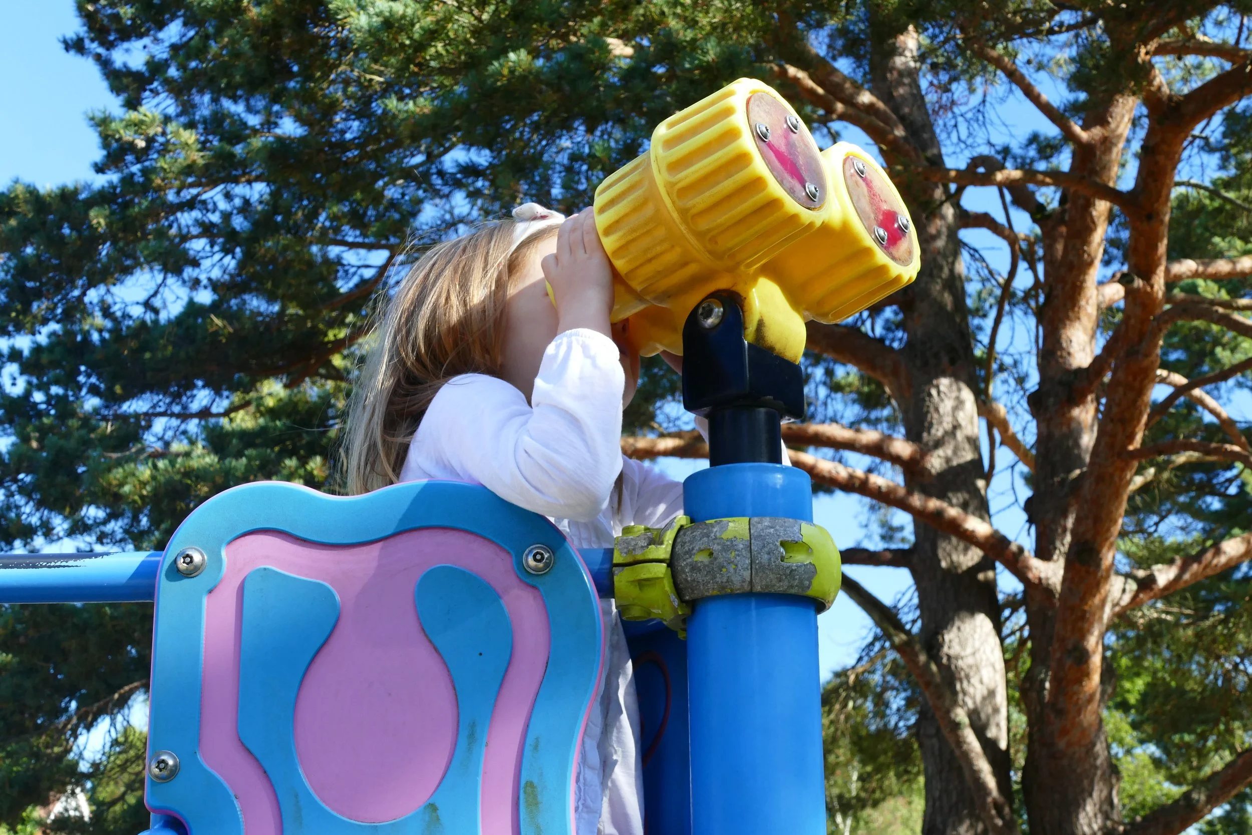 A short circular walk for the whole family around Petersfield Pond ...