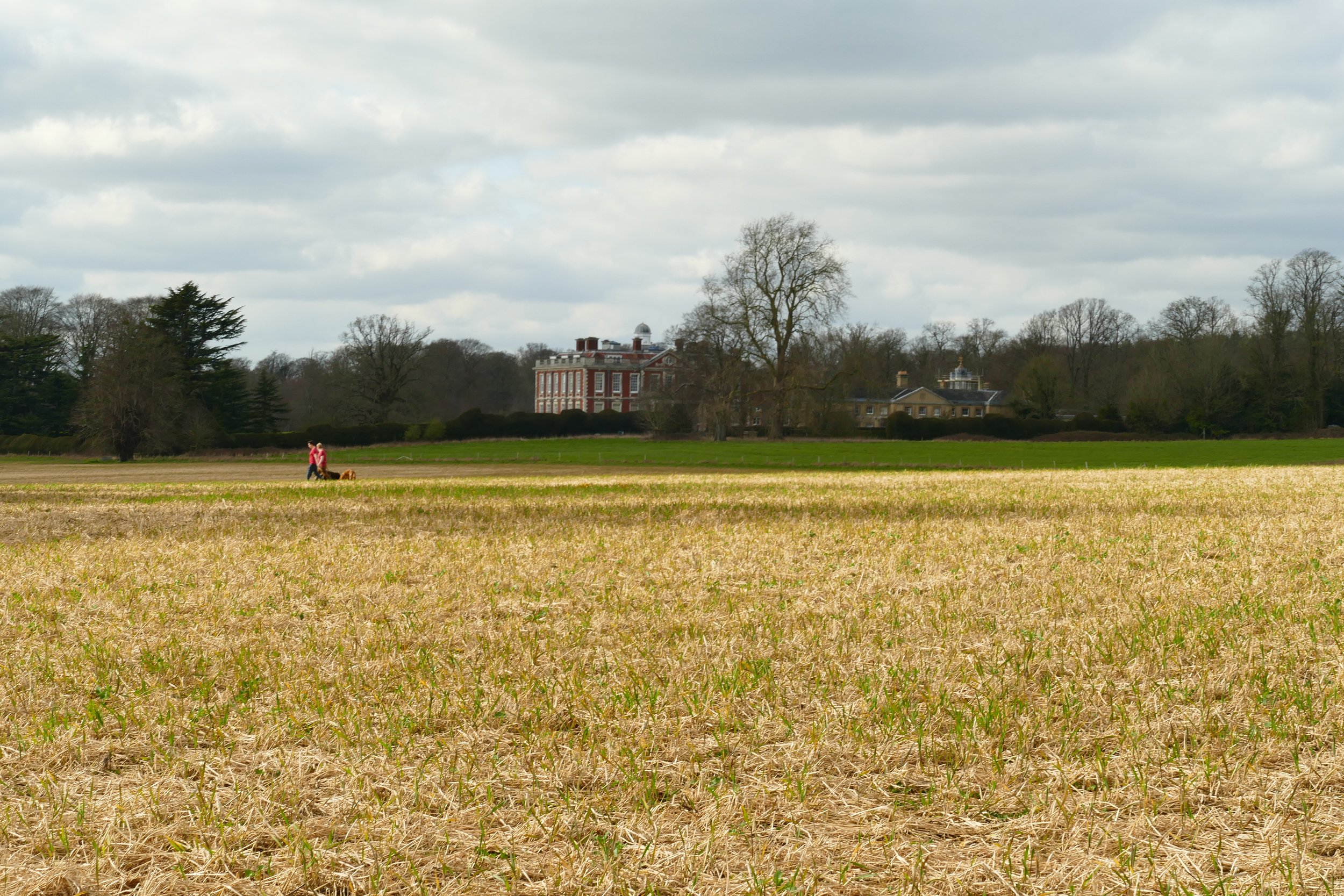 Three circular walks for the whole family around Stansted Park. — The ...