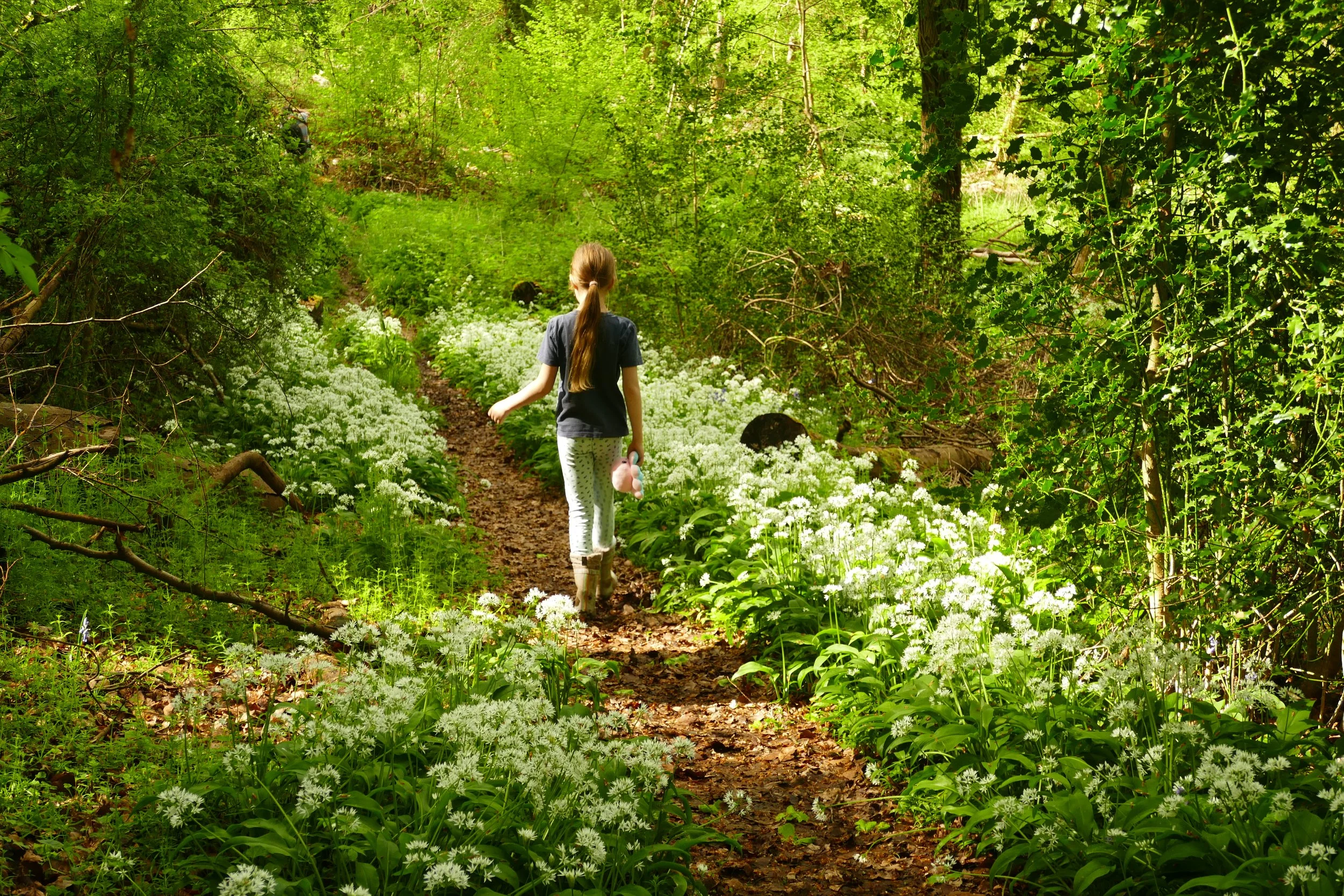 A walk for the whole family around Chiddingfold — The Ambling Path ...