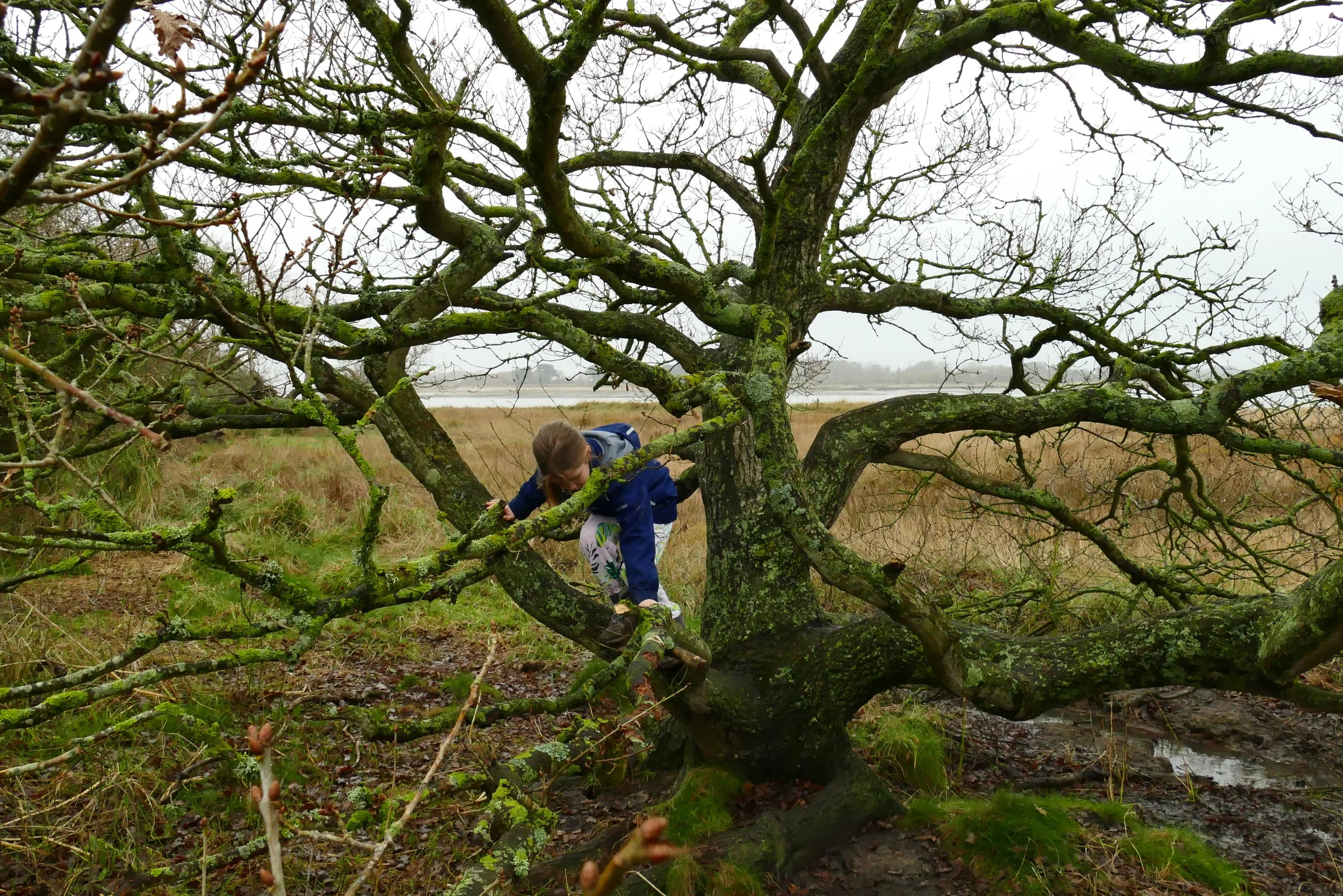 A walk for the whole family around Itchenor — The Ambling Path - Family ...