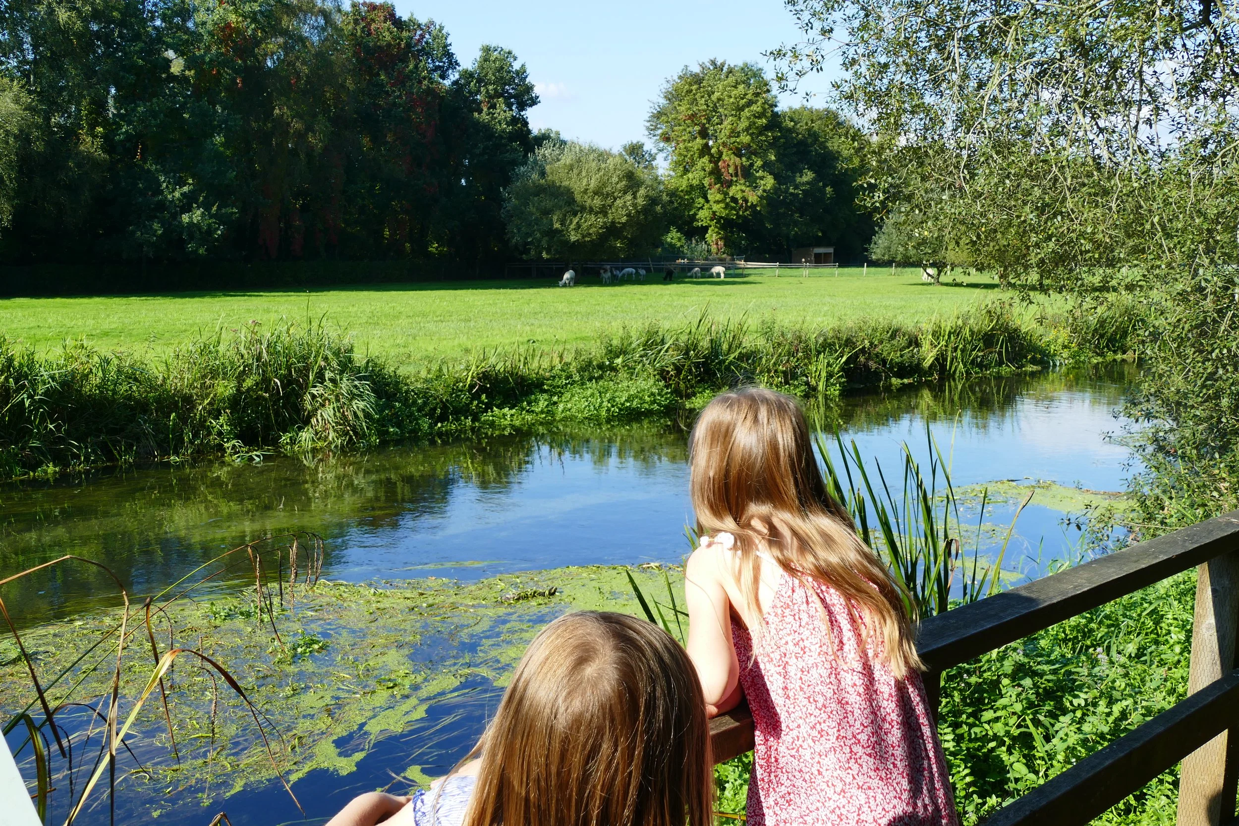 A walk for the whole family to Compton Lock, near Winchester — The ...