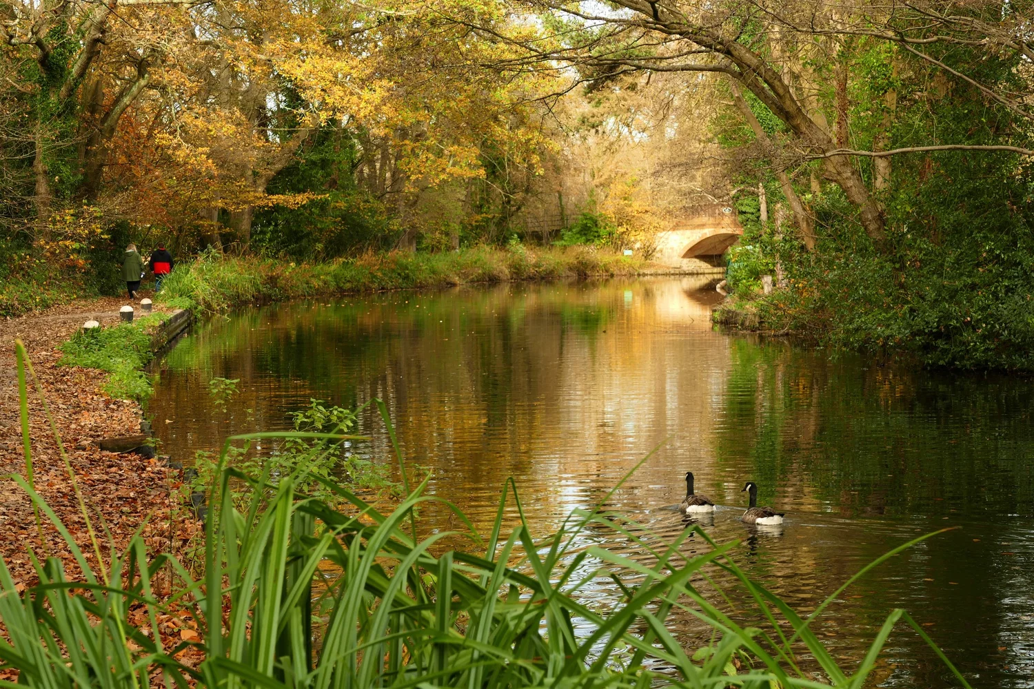 A circular walk for the whole family from The Basingstoke Canal Centre ...
