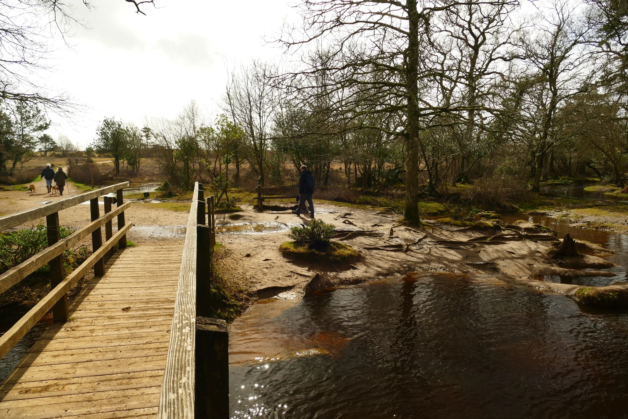 A walk for the whole family at Puttles Bridge — The Ambling Path ...