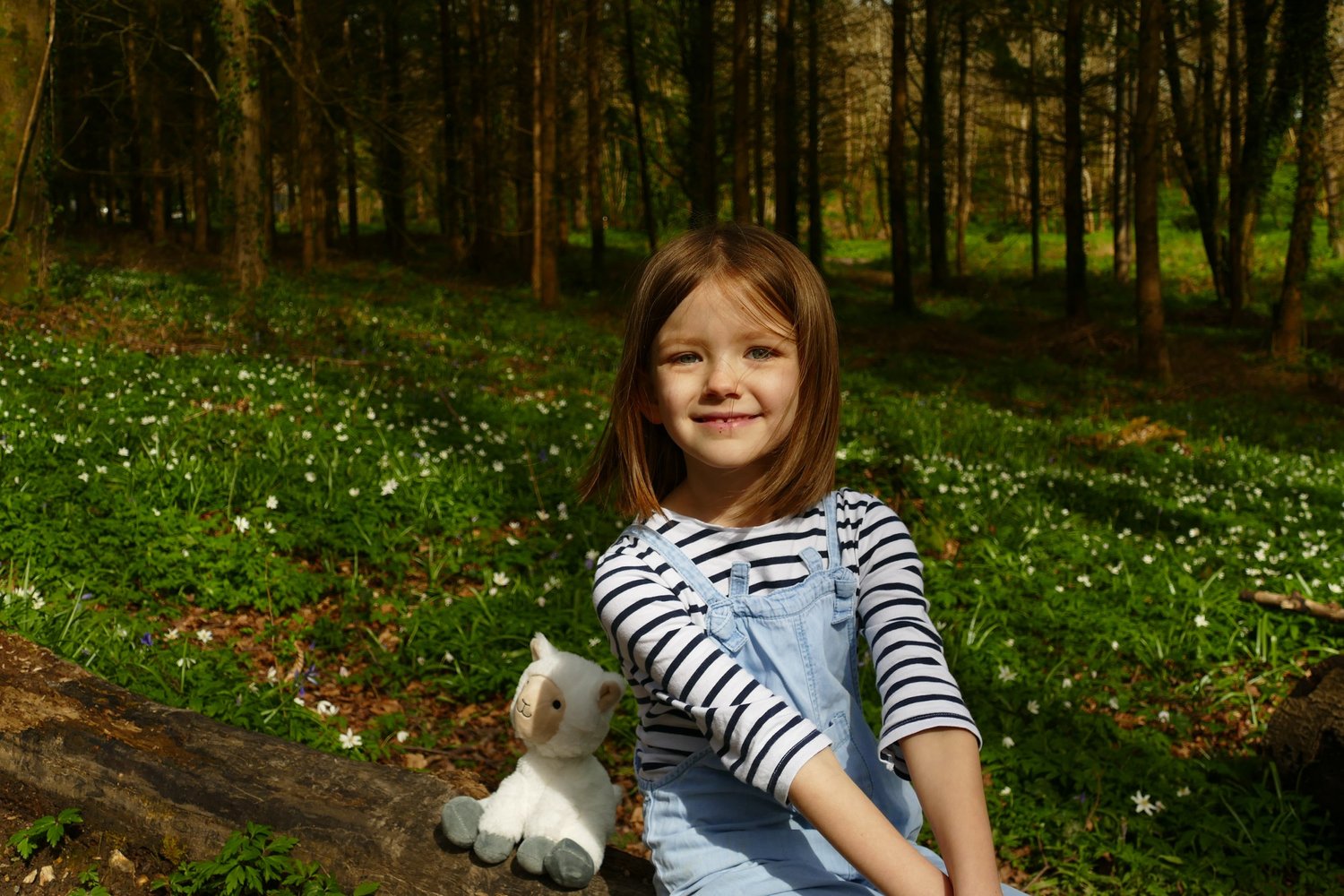 A walk for the whole family around Angmering Park Estate — The Ambling ...