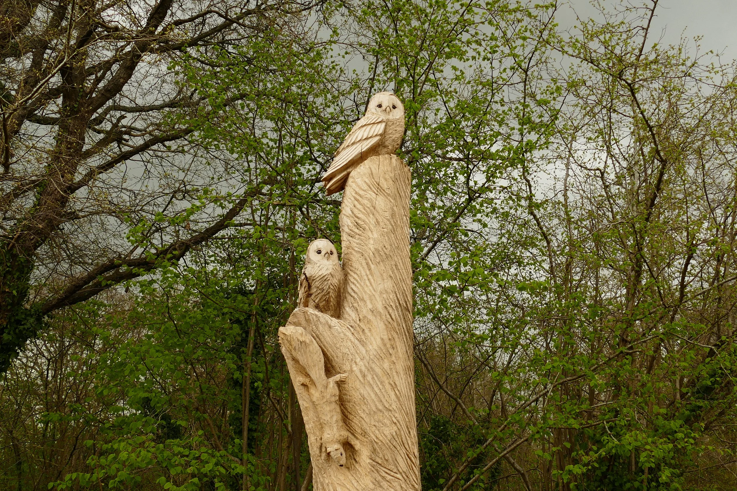 A walk for the whole family around Catherington Lith — The Ambling Path ...