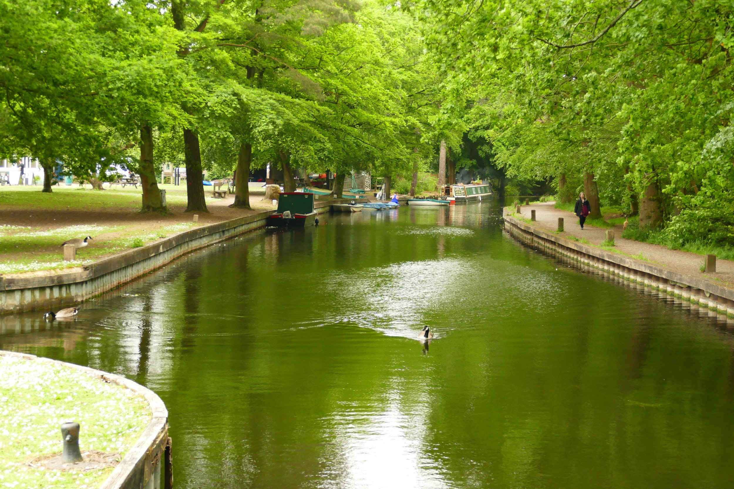 A circular walk for the whole family from The Basingstoke Canal Centre ...