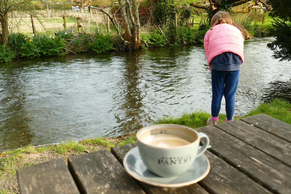A collection of walks along the River Meon — The Ambling Path - Family ...