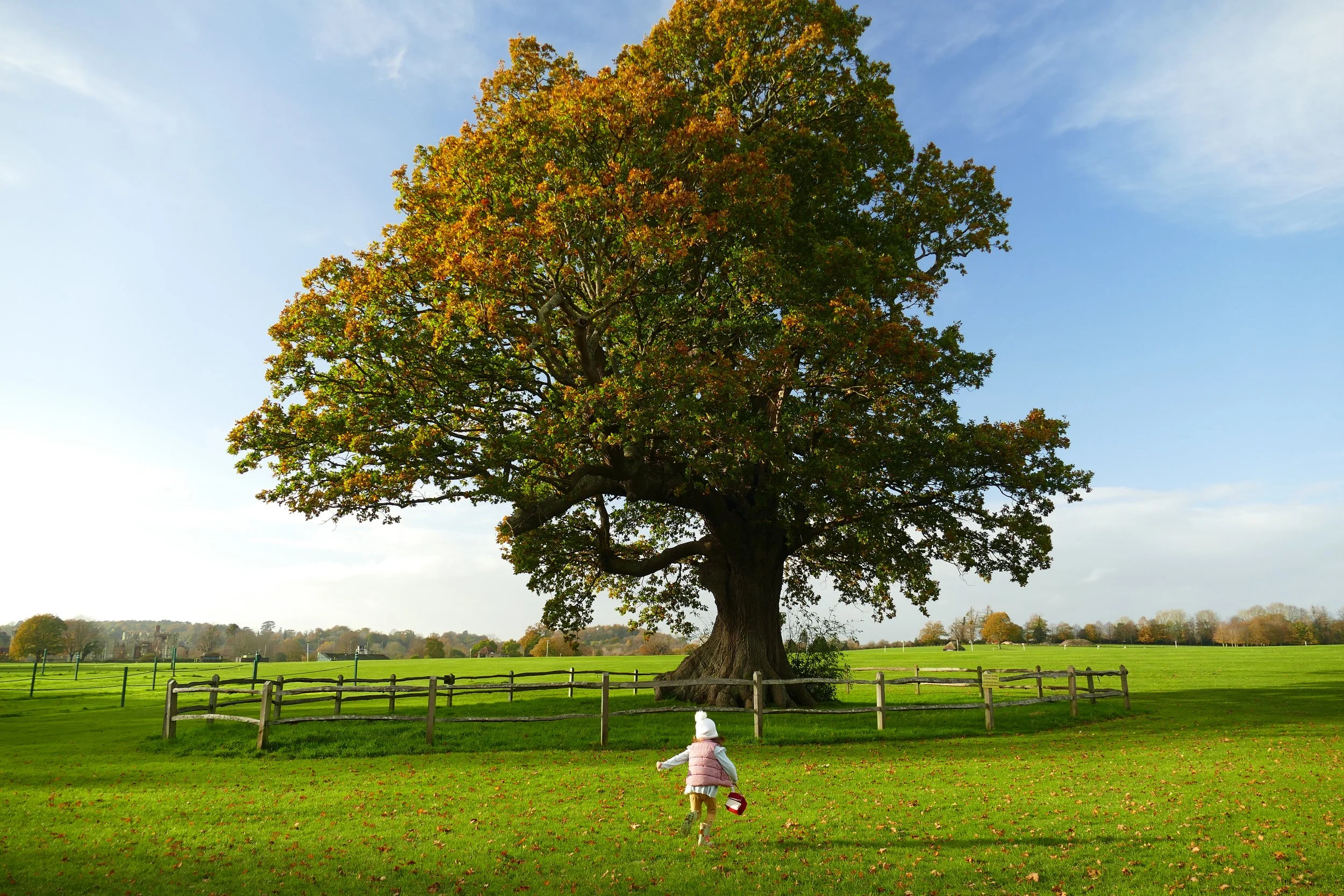 A circular walk for the whole family around The Cowdray Estate ...