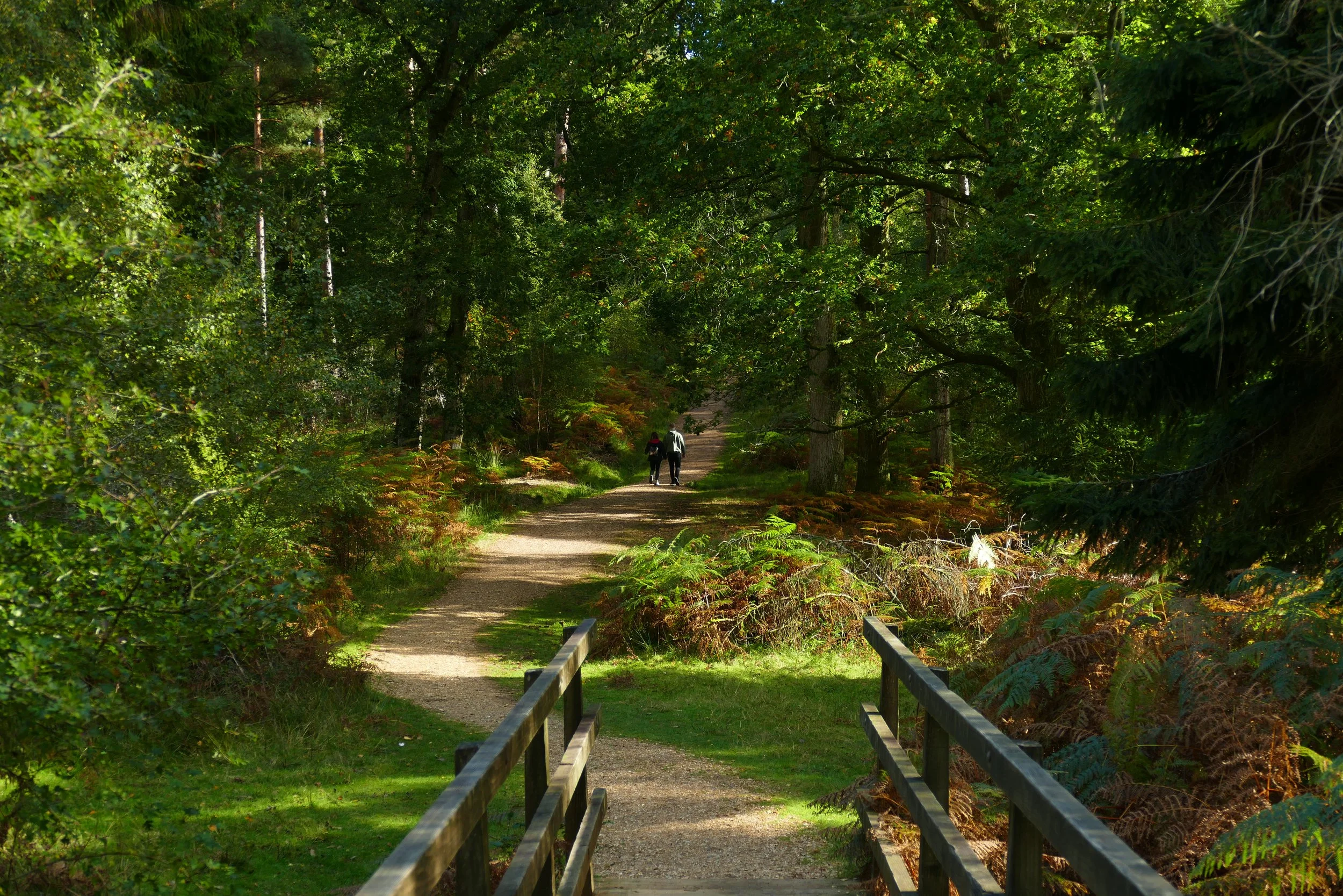 A walk for the whole family at Bolderwood Deer Sanctuary — The Ambling ...