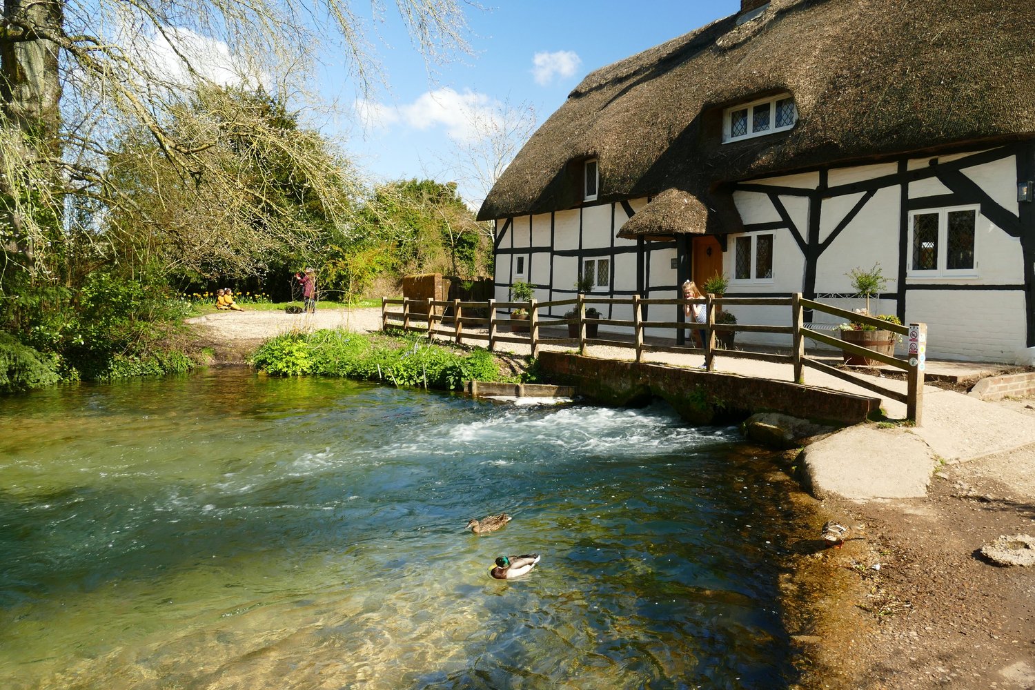 A circular river walk for the whole family around Alresford — The ...