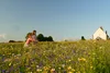 The Ambling Path - Family Friendly Walks - Family Walks Hampshire, West ...