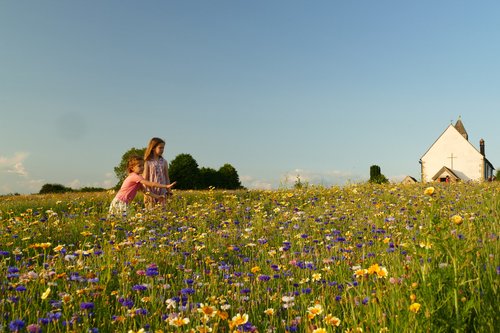 The Ambling Path - Family Friendly Walks - Family Walks Hampshire, West ...