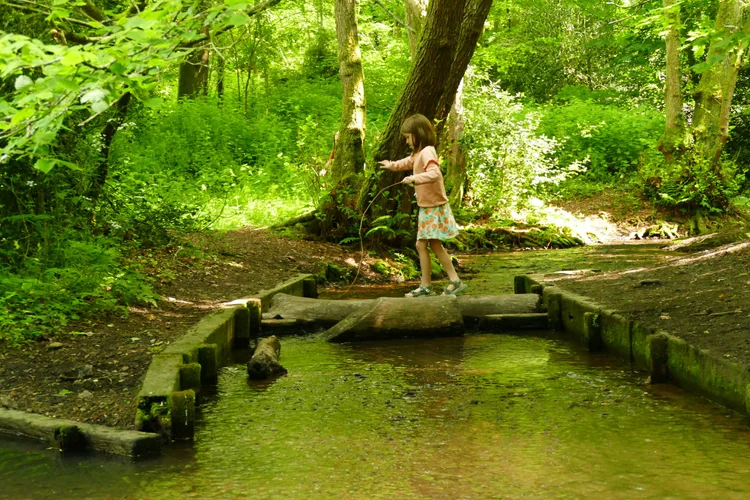 A walk for the whole family at Chilworth Gunpowder Mills — The Ambling ...