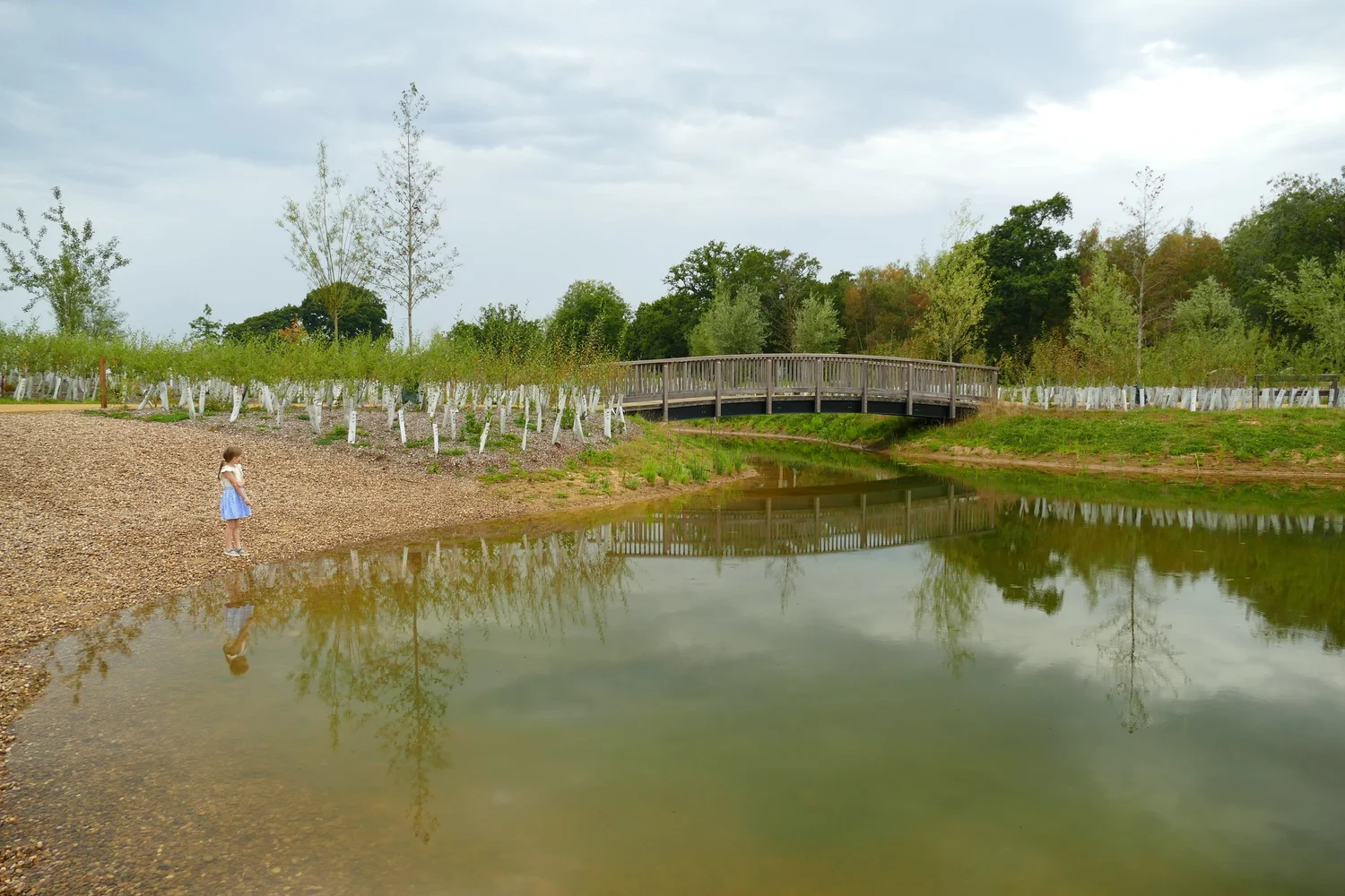 A Surrey walk for the whole family around Knowle Park, Cranleigh — The ...