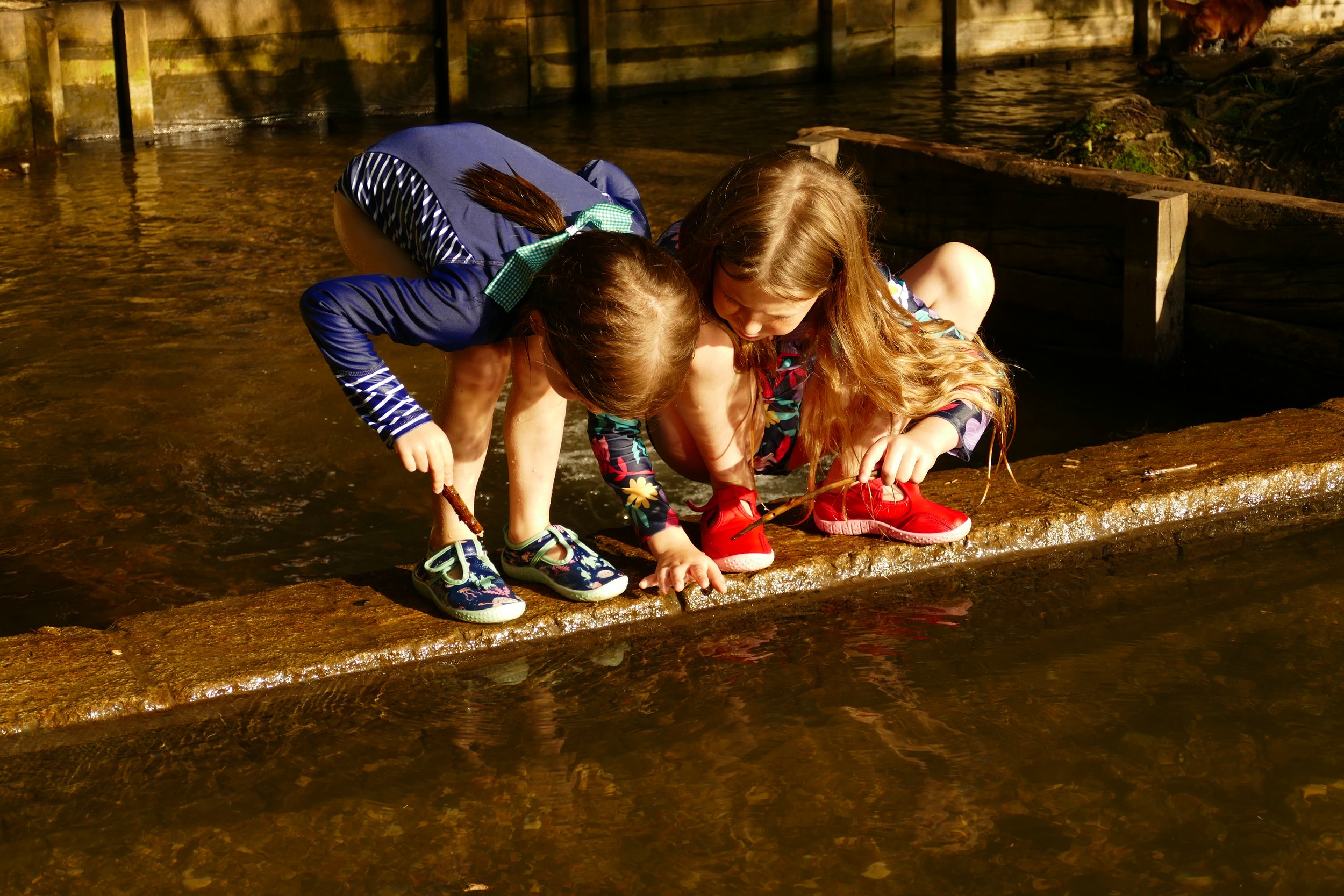 A walk for the whole family around Wickham — The Ambling Path - Family ...