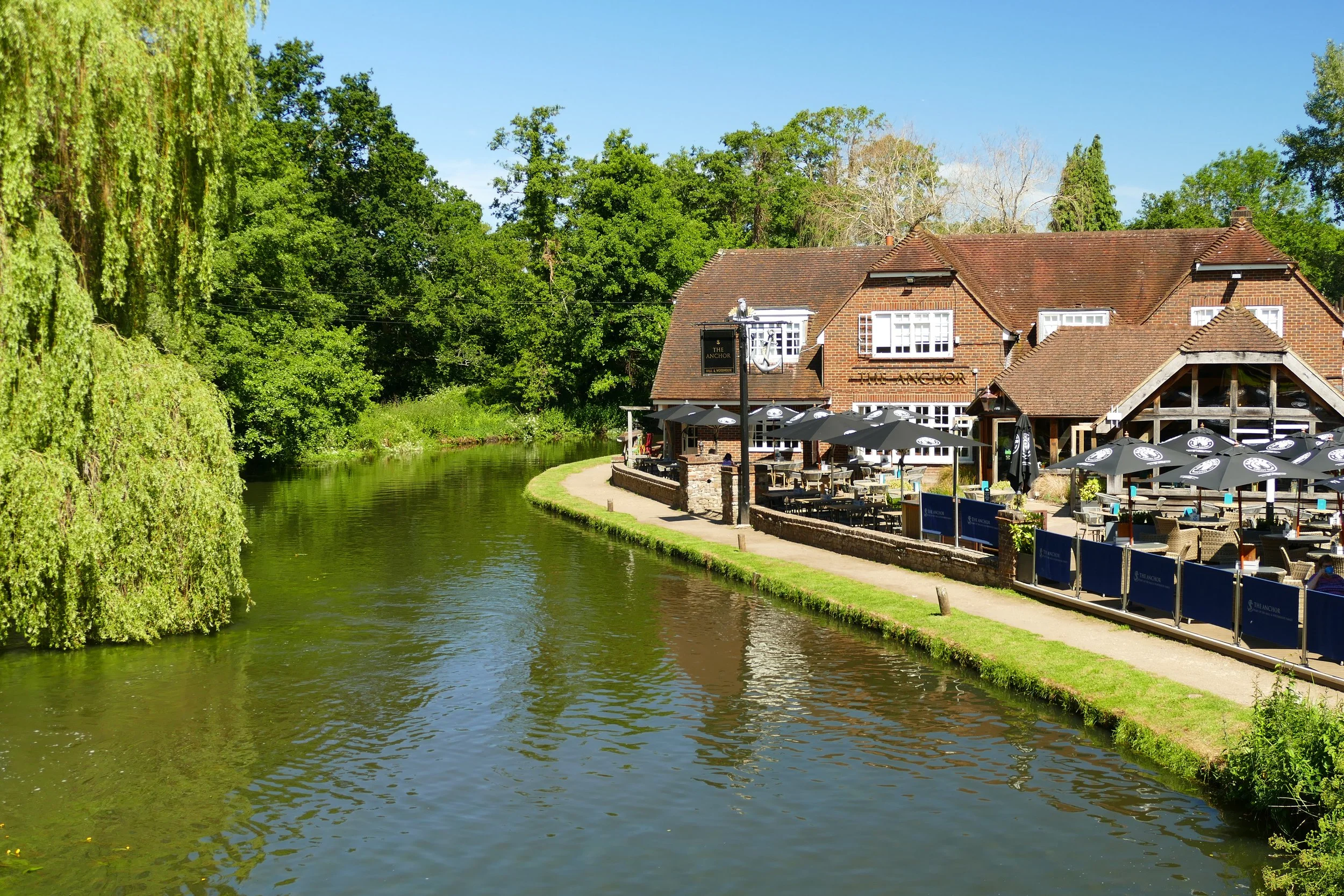 A walk for the whole family from Pyrford along The River Wey — The Ambling Path - Family ...