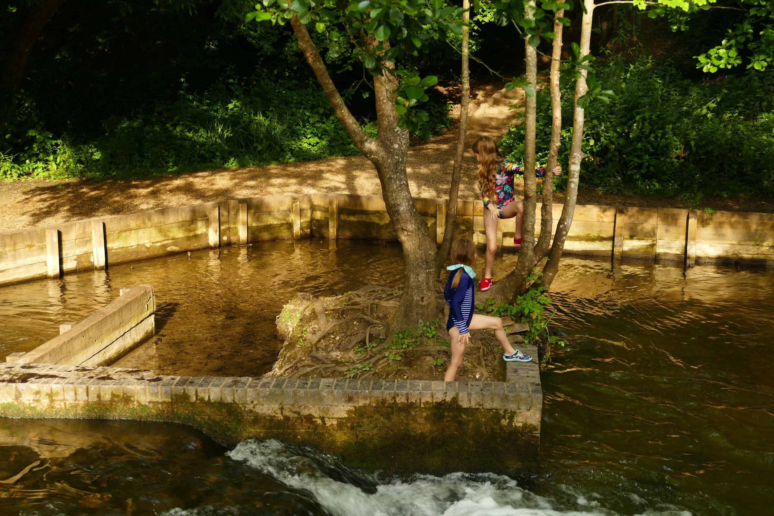 A walk for the whole family around Wickham — The Ambling Path - Family ...