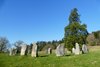 A walk for the whole family around Hascombe Hill near Godalming — The ...