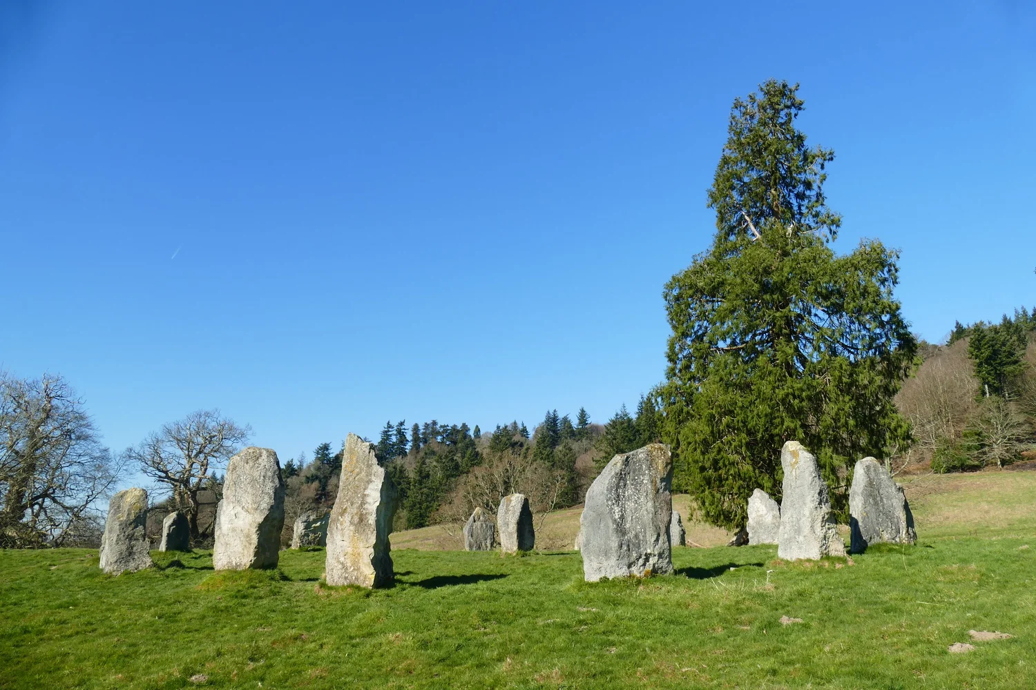 A walk for the whole family around Hascombe Hill near Godalming — The ...