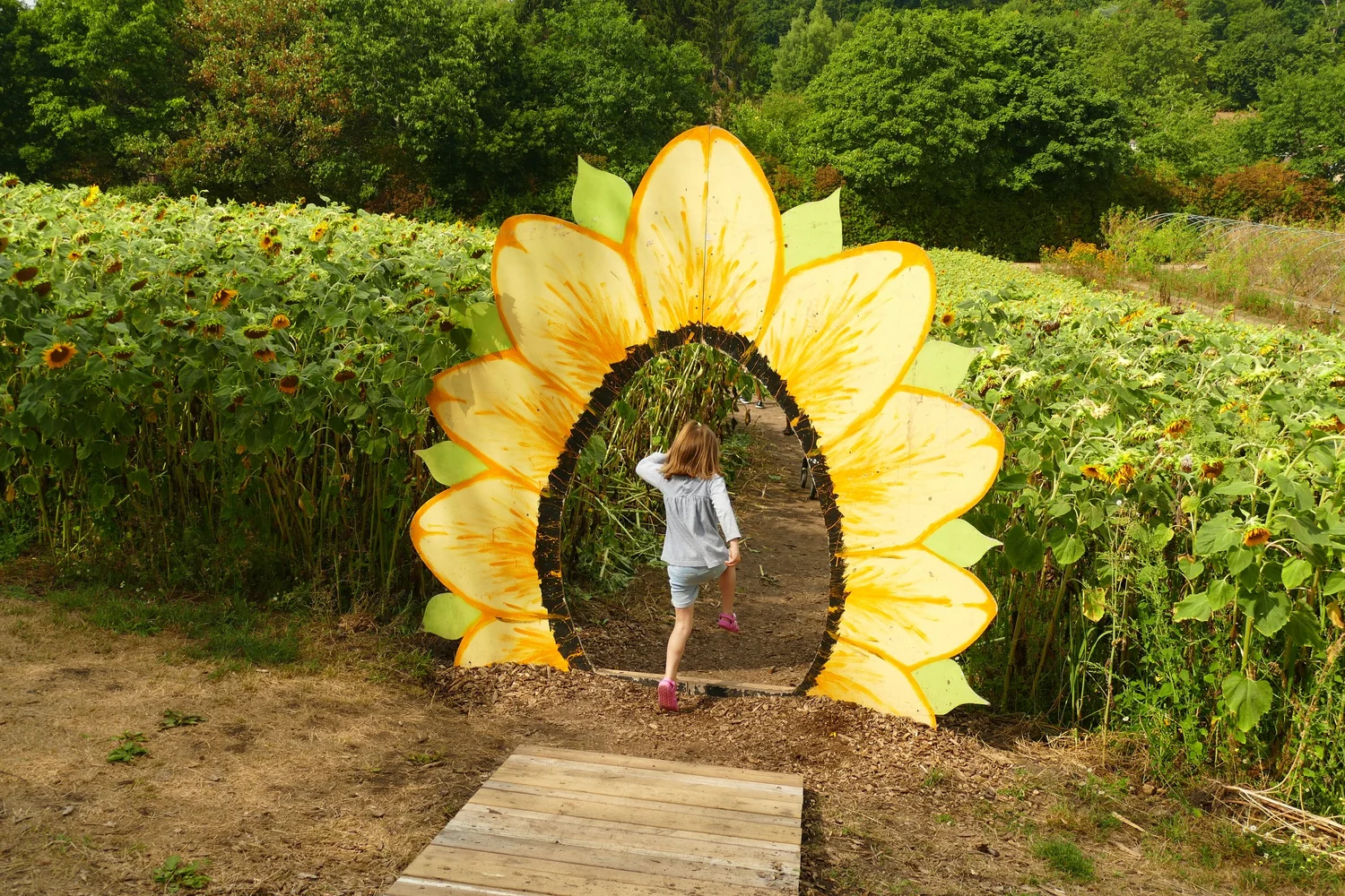 A walk for the whole family at Priory Farm — The Ambling Path - Walks ...
